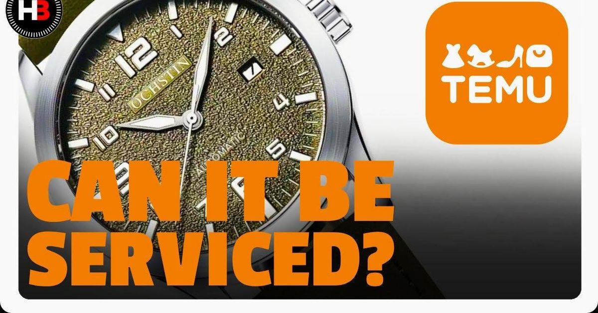 I received the cheapest Temu Automatic Watch! Can the Ochstin run ...