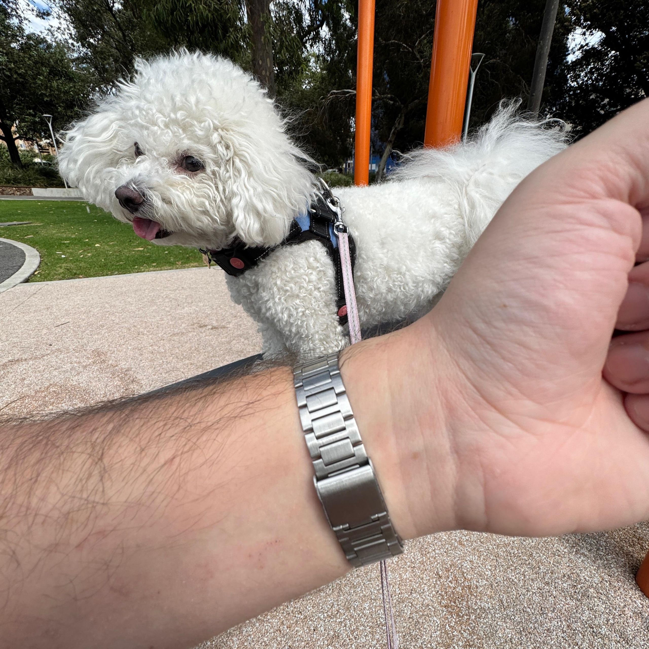 Wristcheck March 30, 2025 | WatchCrunch