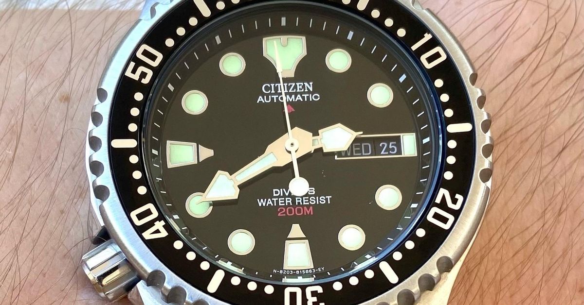 Citizen Promaster | WatchCrunch