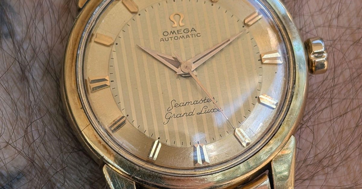 Omega Seamaster Grand luxe | WatchCrunch