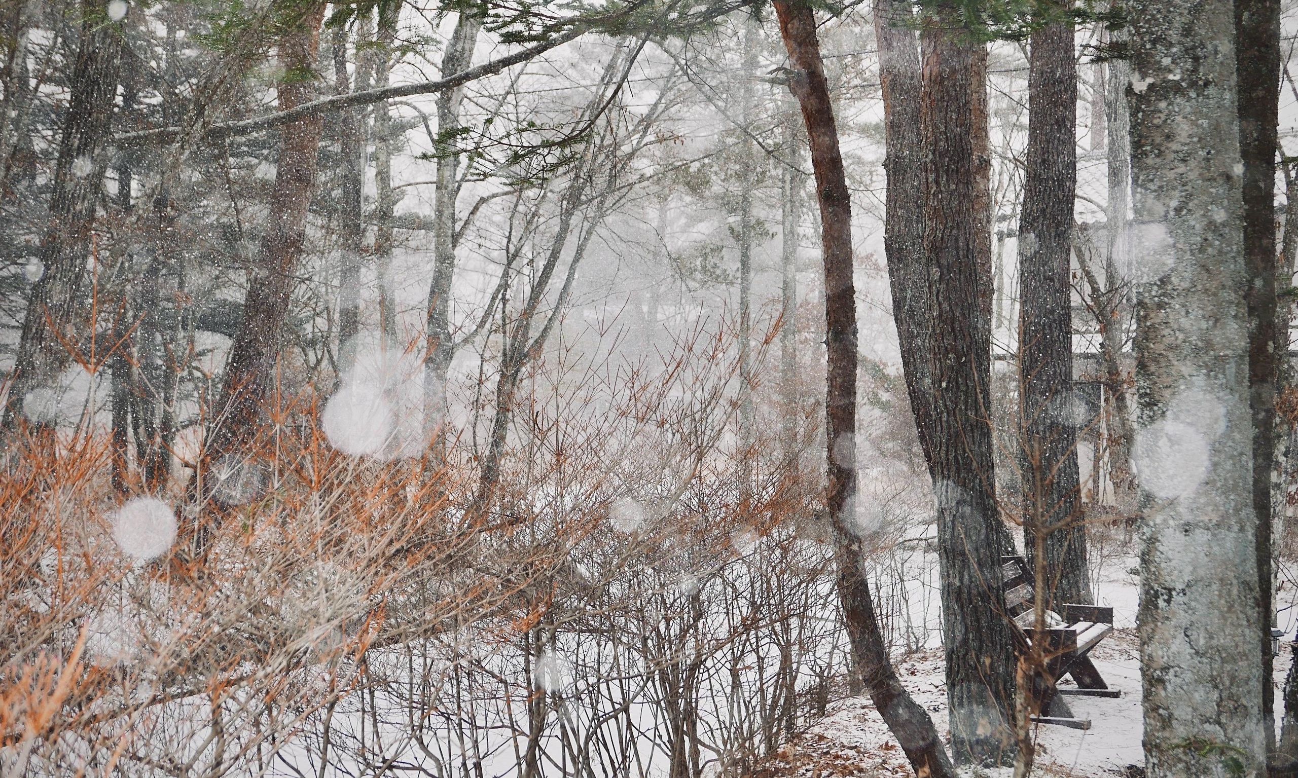 In the snow with Blackbay 54. | WatchCrunch