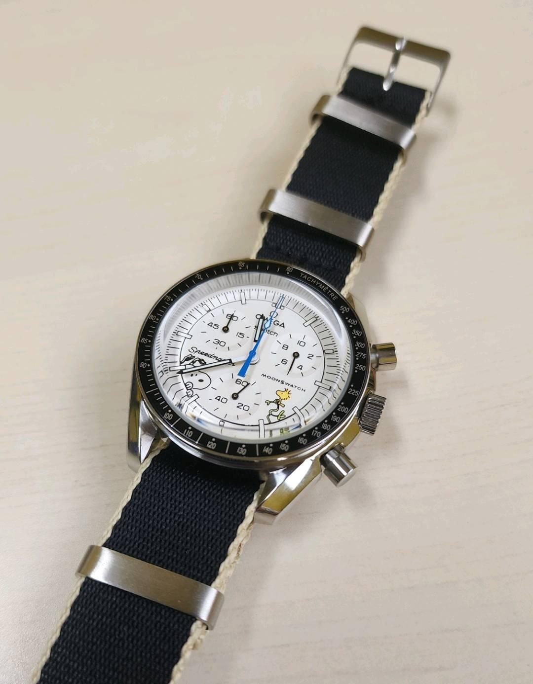 Moonswatch Metal Case | WatchCrunch