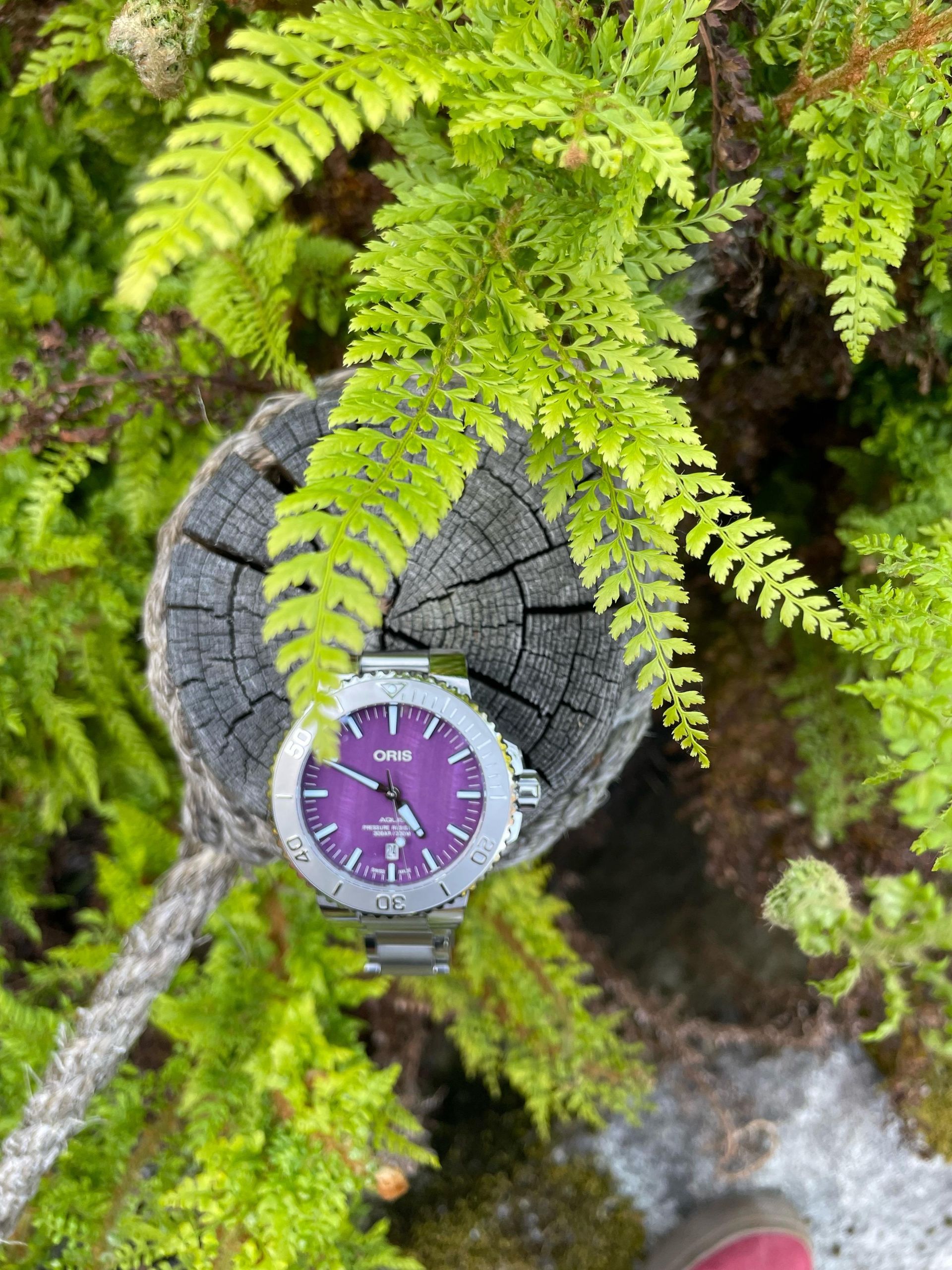 The Best Watch Pics I’ve Ever taken | WatchCrunch