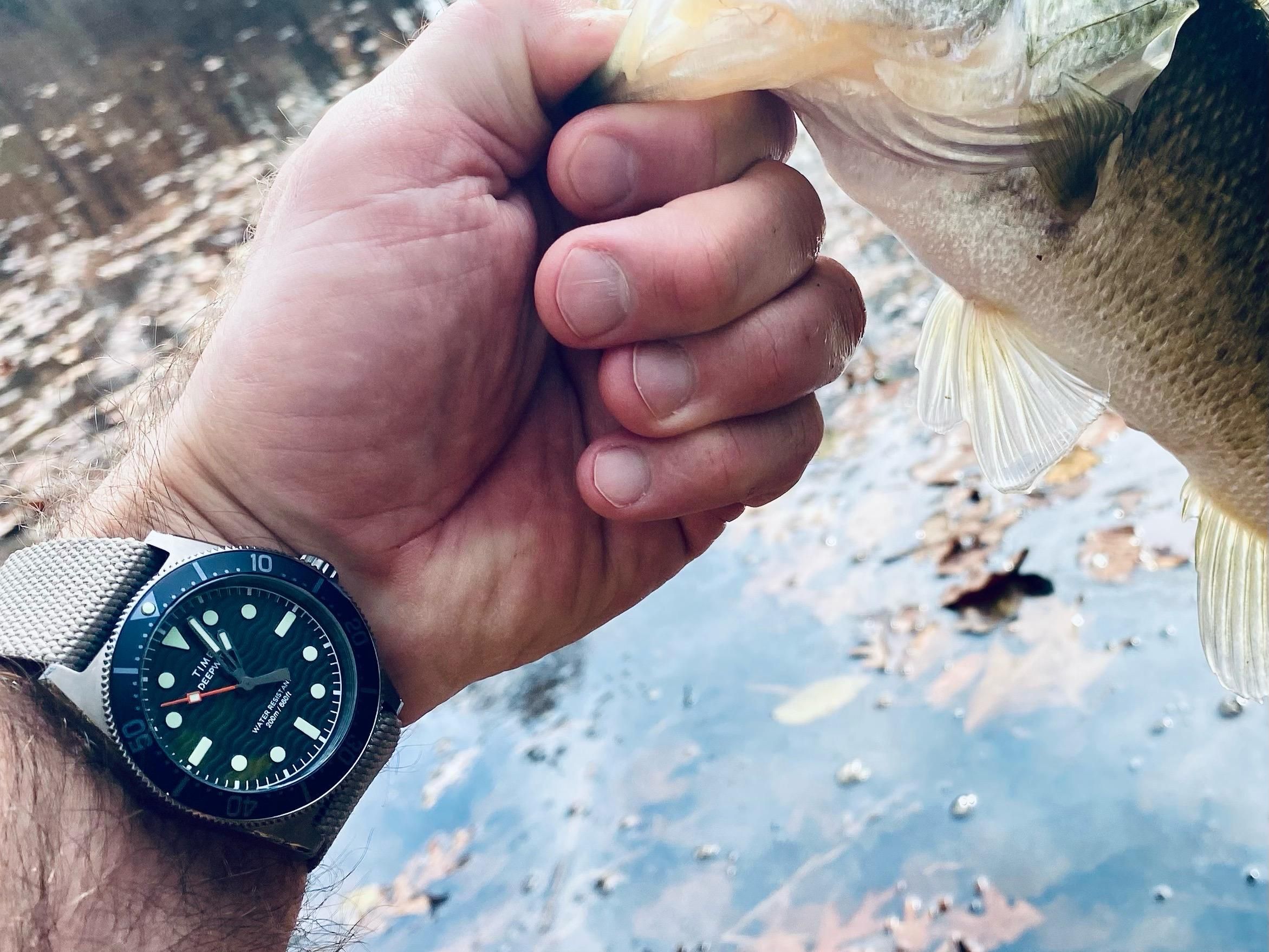 Timex Deepwater | WatchCrunch