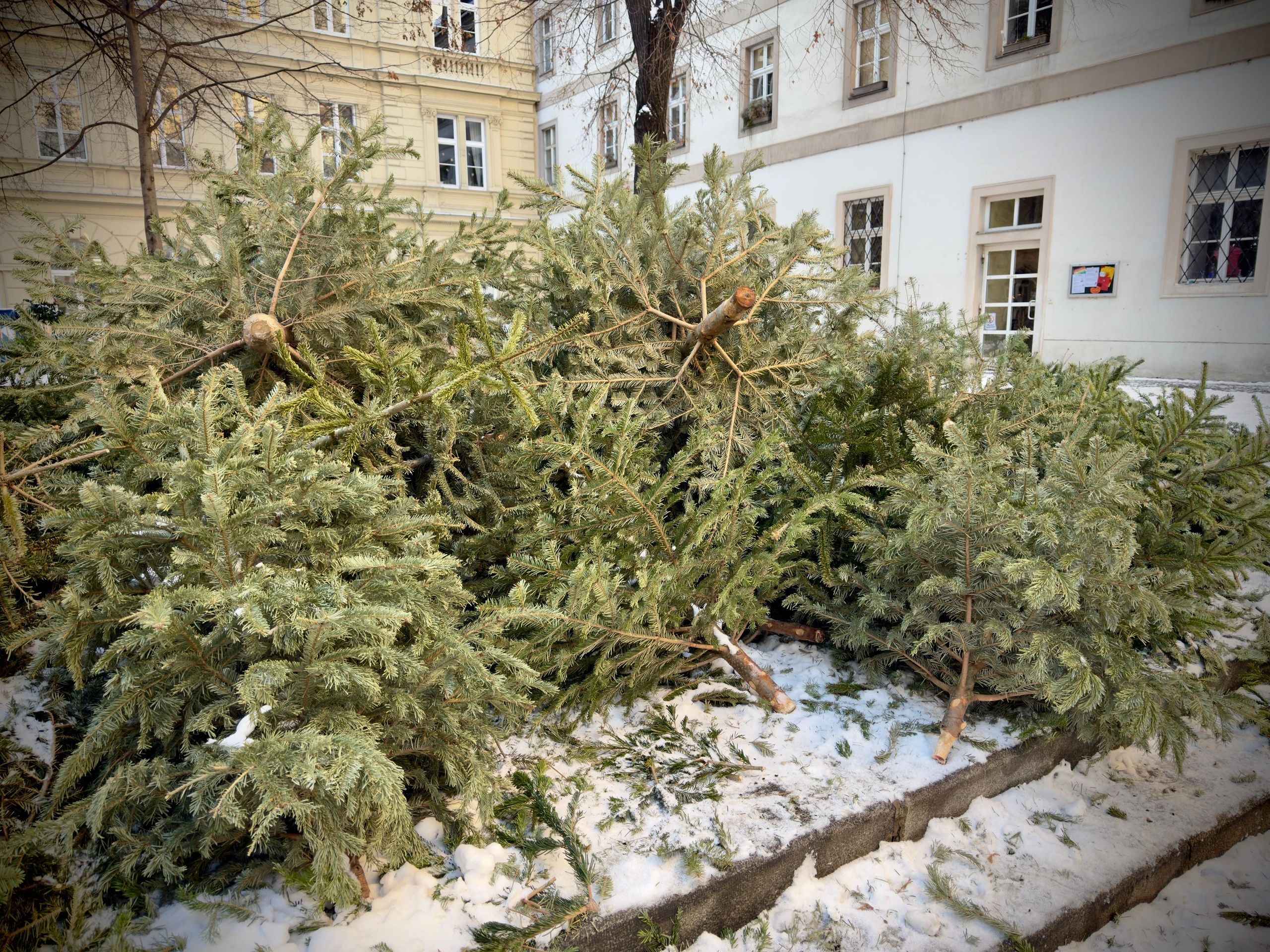 Wristcheck January 11, 2026 | WatchCrunch