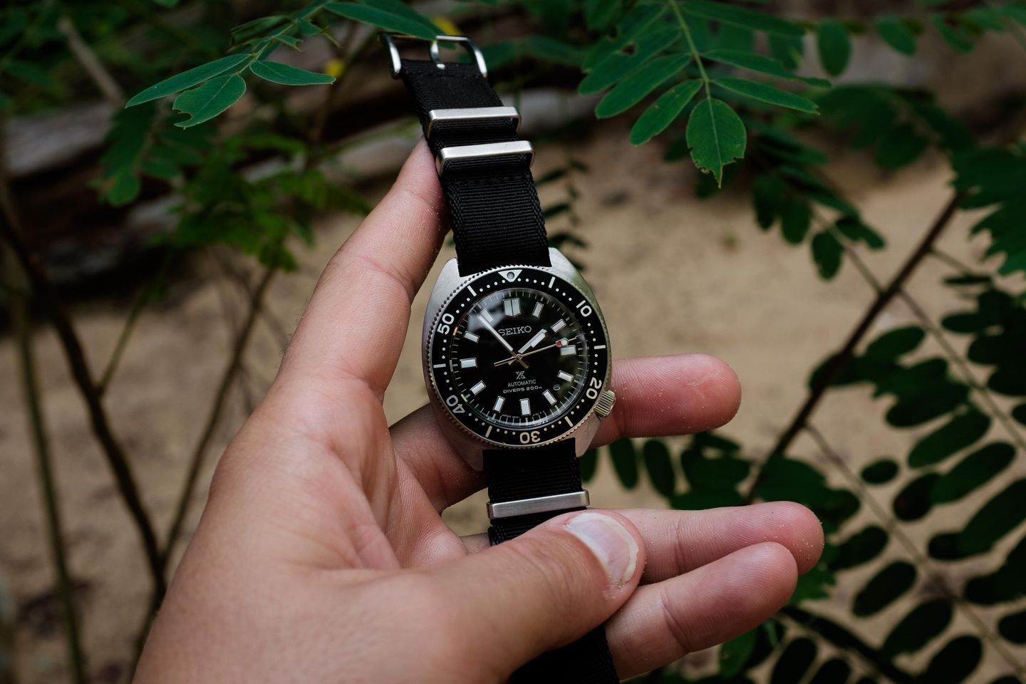 Seiko SPB317 Review-The "Slim Willard" | WatchCrunch
