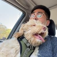 deeeee | WatchCrunch