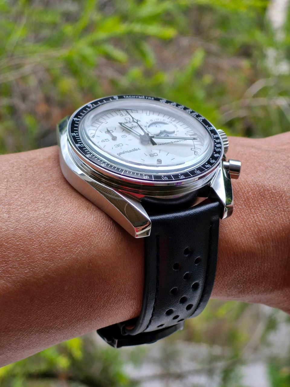 Moonswatch Metal Case | WatchCrunch