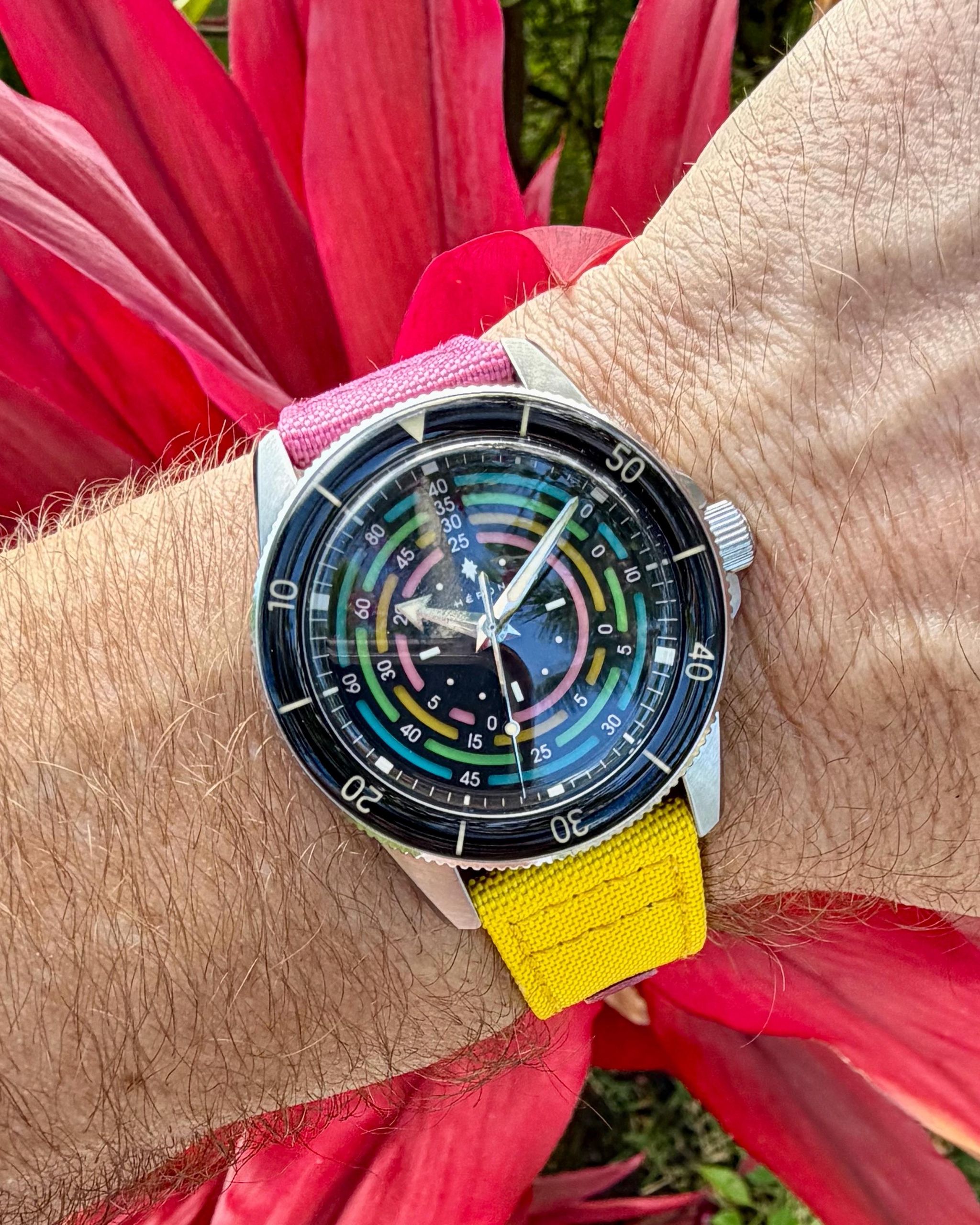 Heron - Marinor Rainbow | WatchCrunch