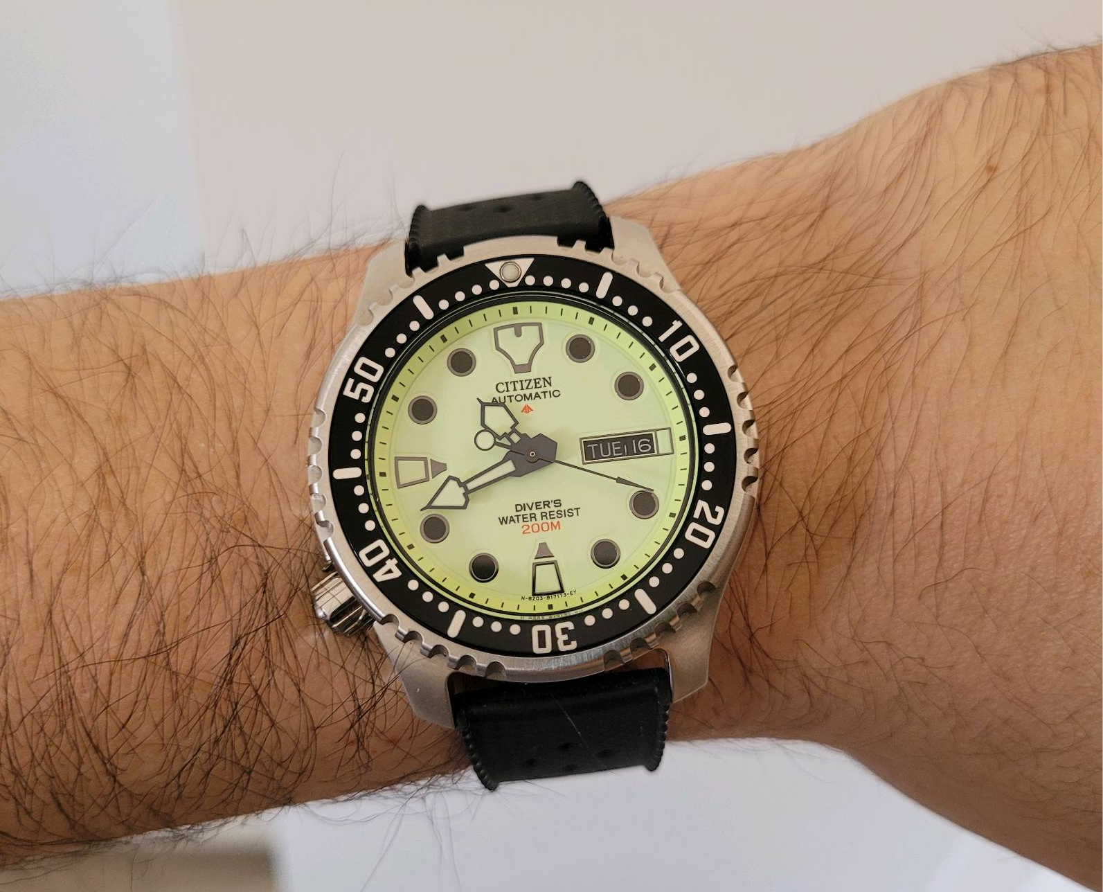 Citizen Promaster Automatic | WatchCrunch