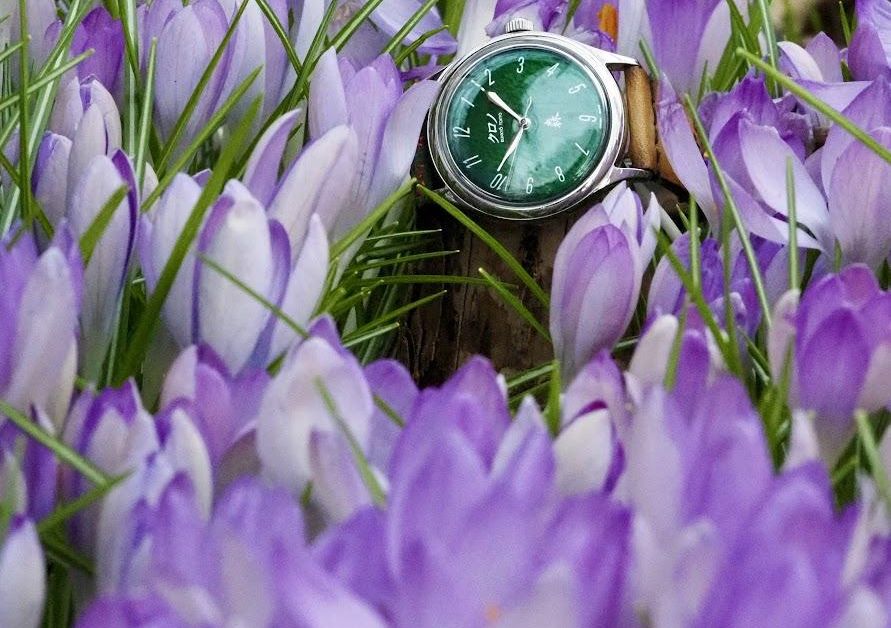 Spring is in the air; 0wc you must bear | WatchCrunch