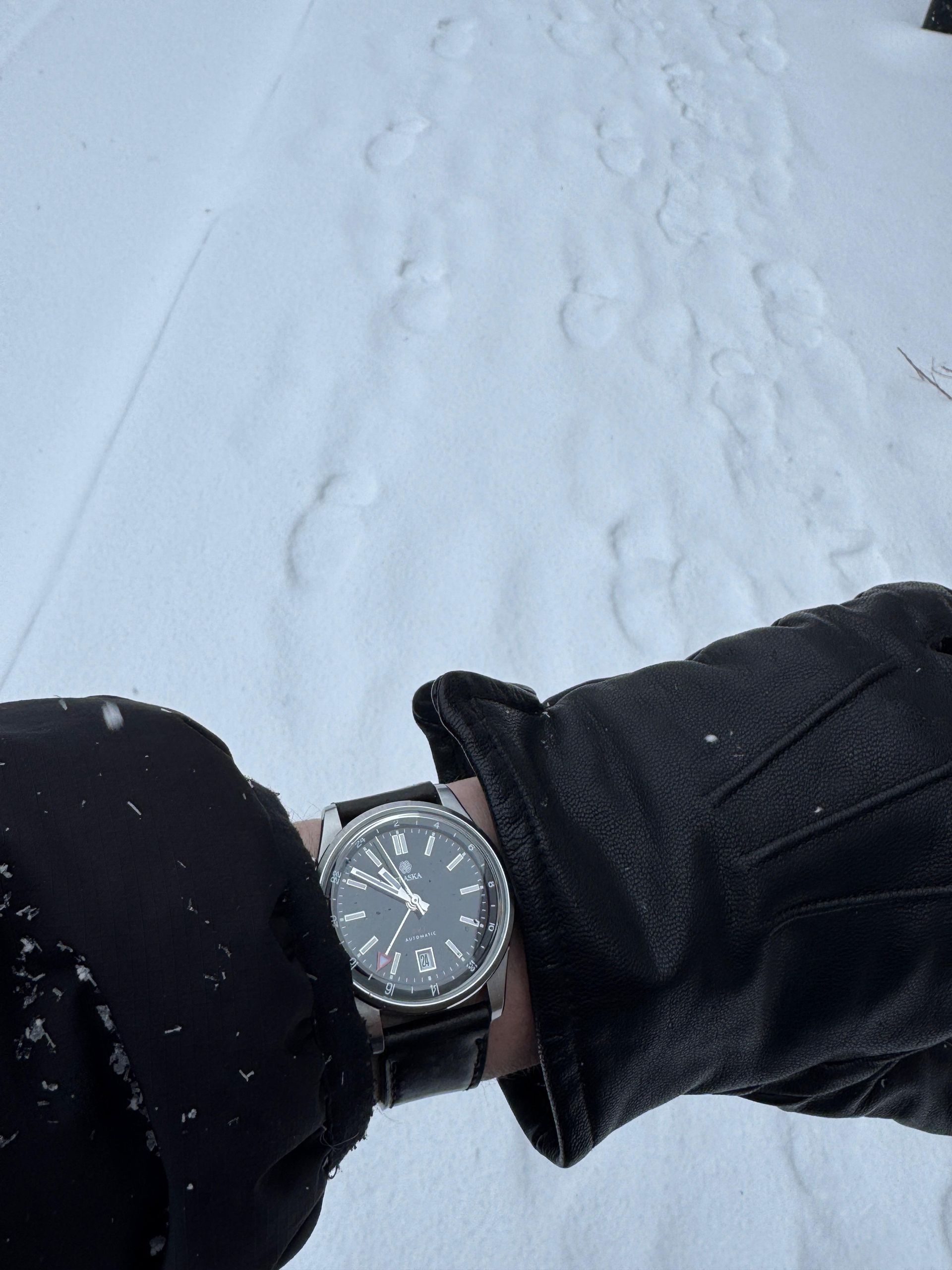Traska Venturer and Aaron’s Bespoke Straps | WatchCrunch