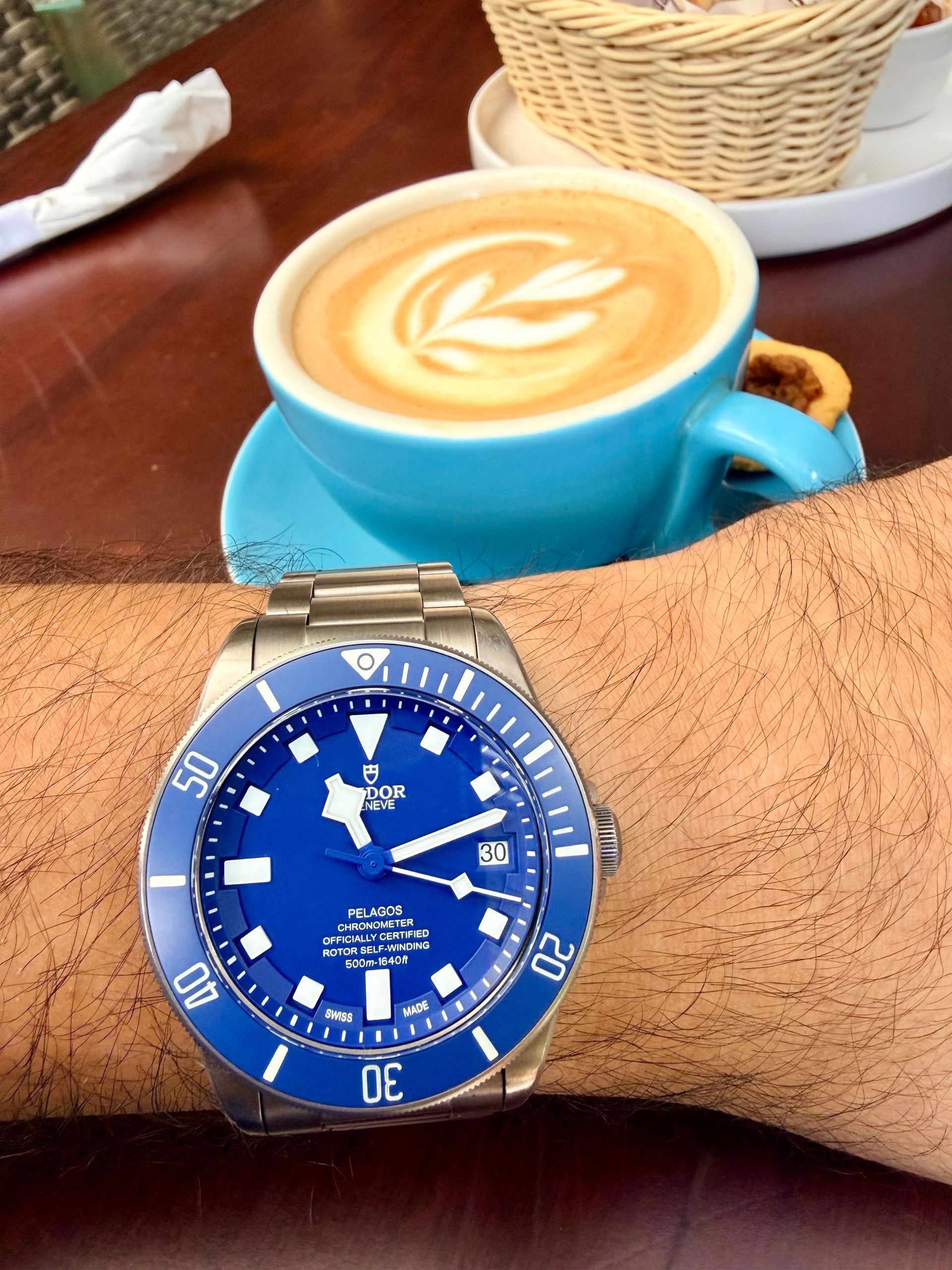 Tudor Pelagos Blue | WatchCrunch