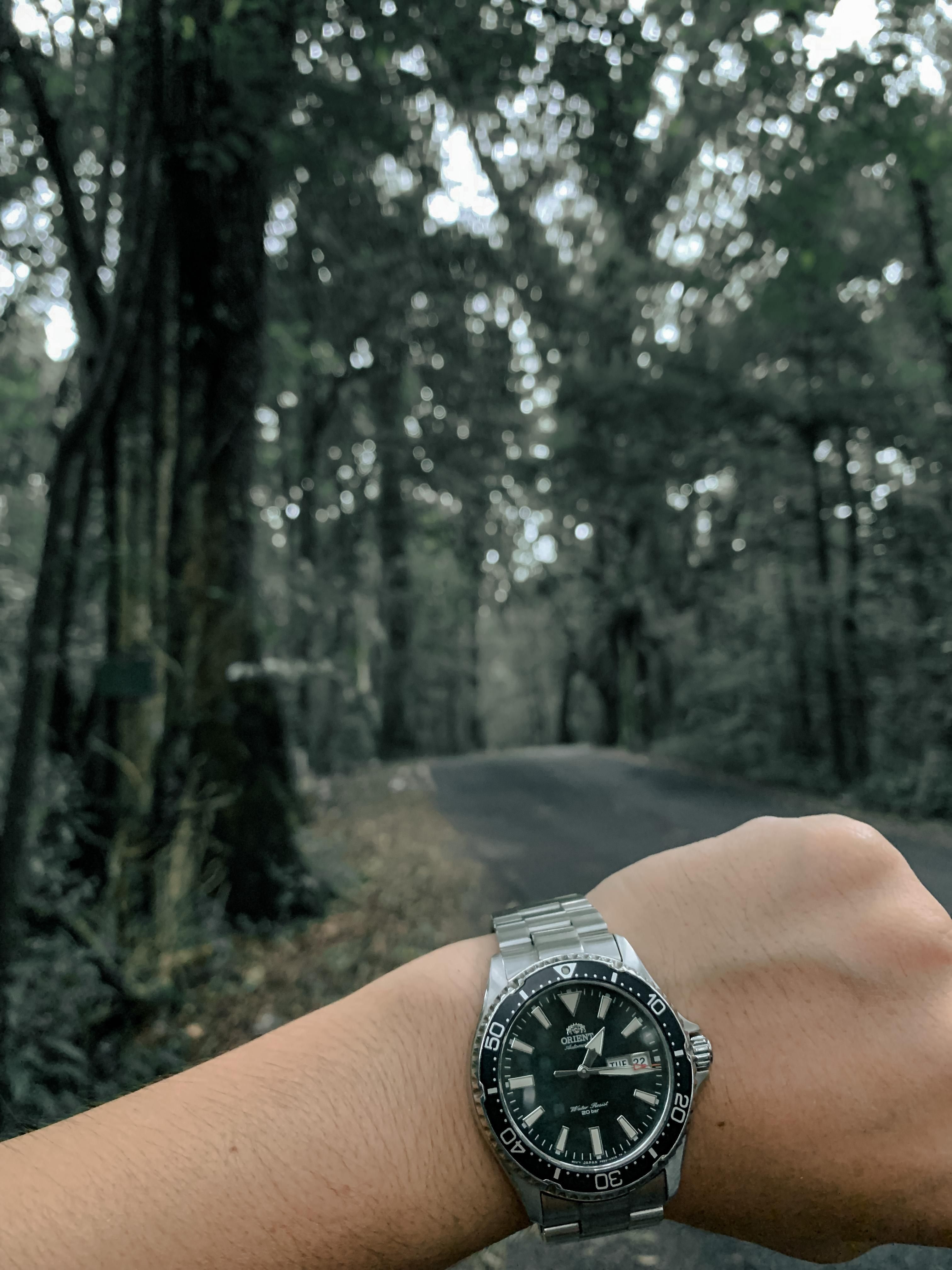 In love with this Orient Kamasu with NATO bond strapband. | WatchCrunch