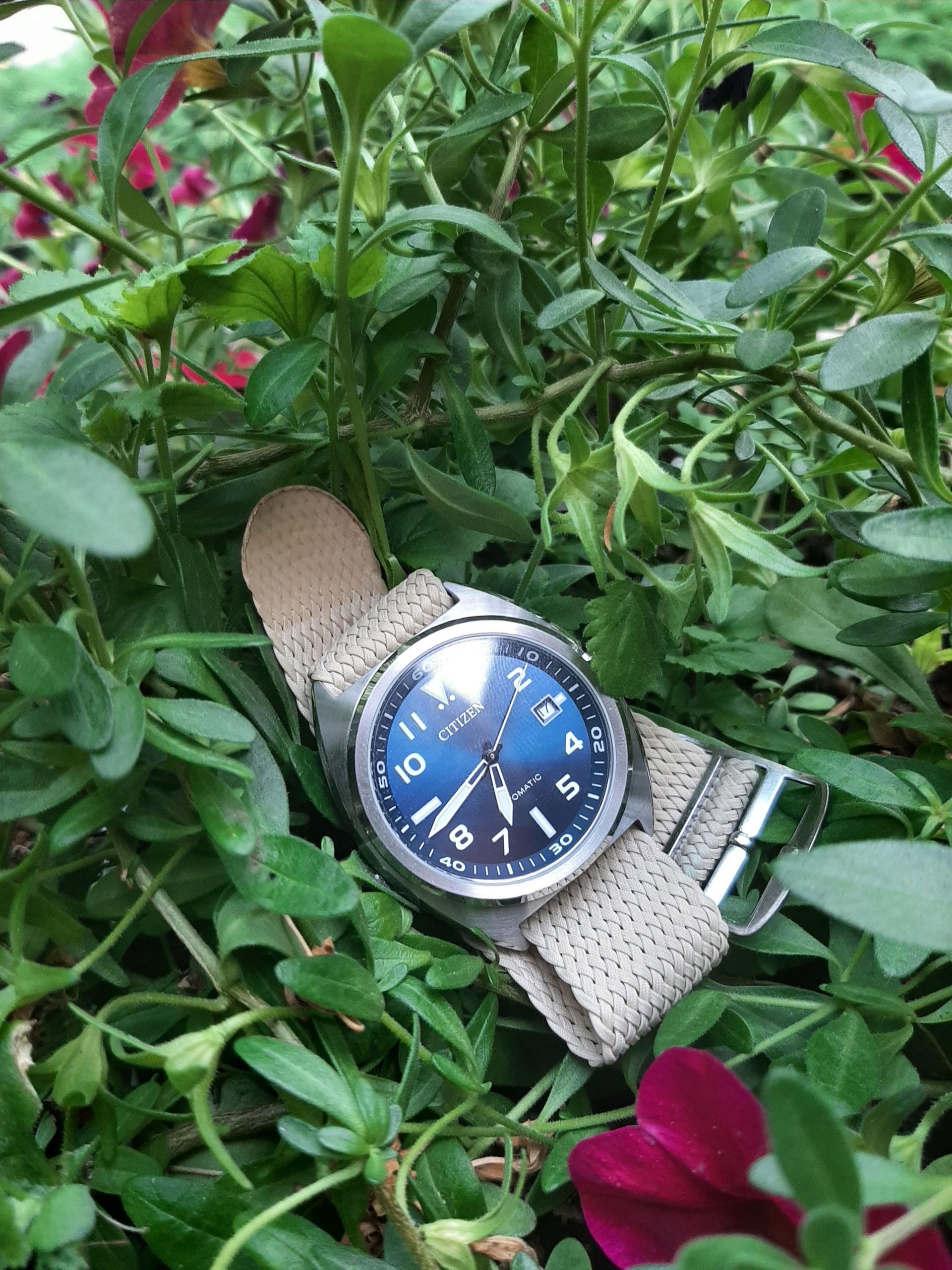 Watch Collection part 4, The Citizen NJ0100-89L | WatchCrunch