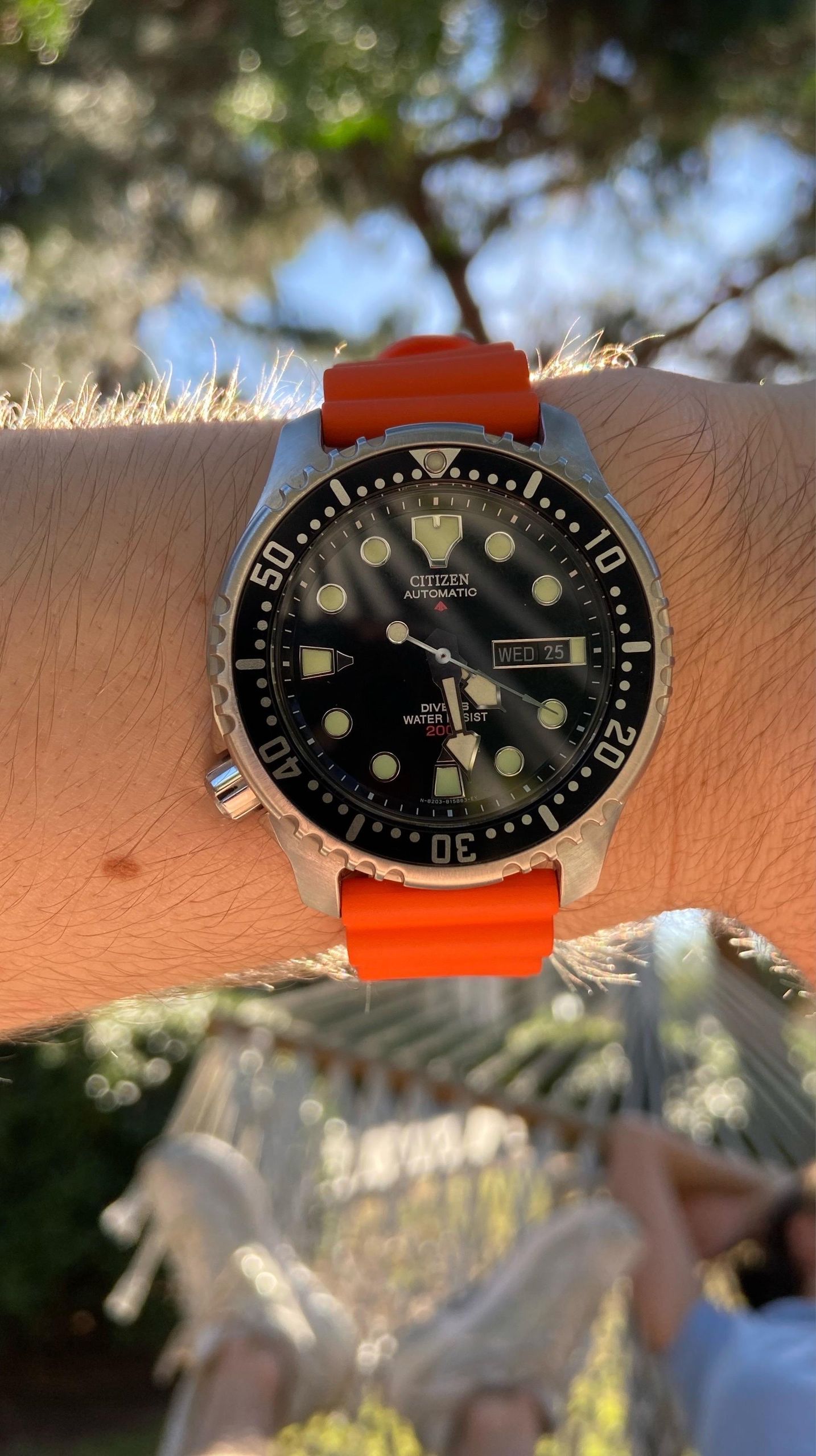 Citizen Promaster | WatchCrunch