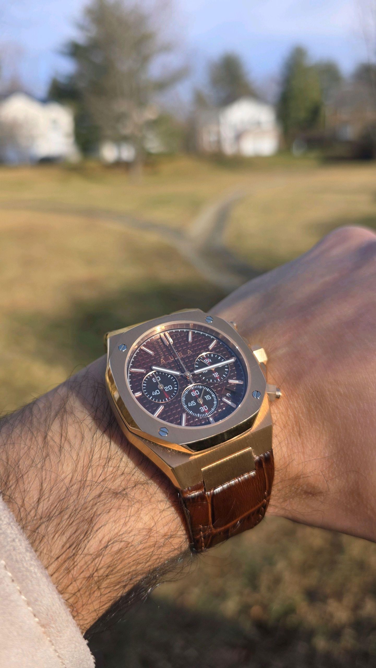 Double Wristing Aura | WatchCrunch
