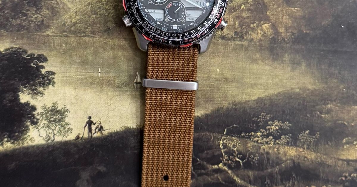 Hello. I Love Neo-Vintage Citizen Promasters | WatchCrunch