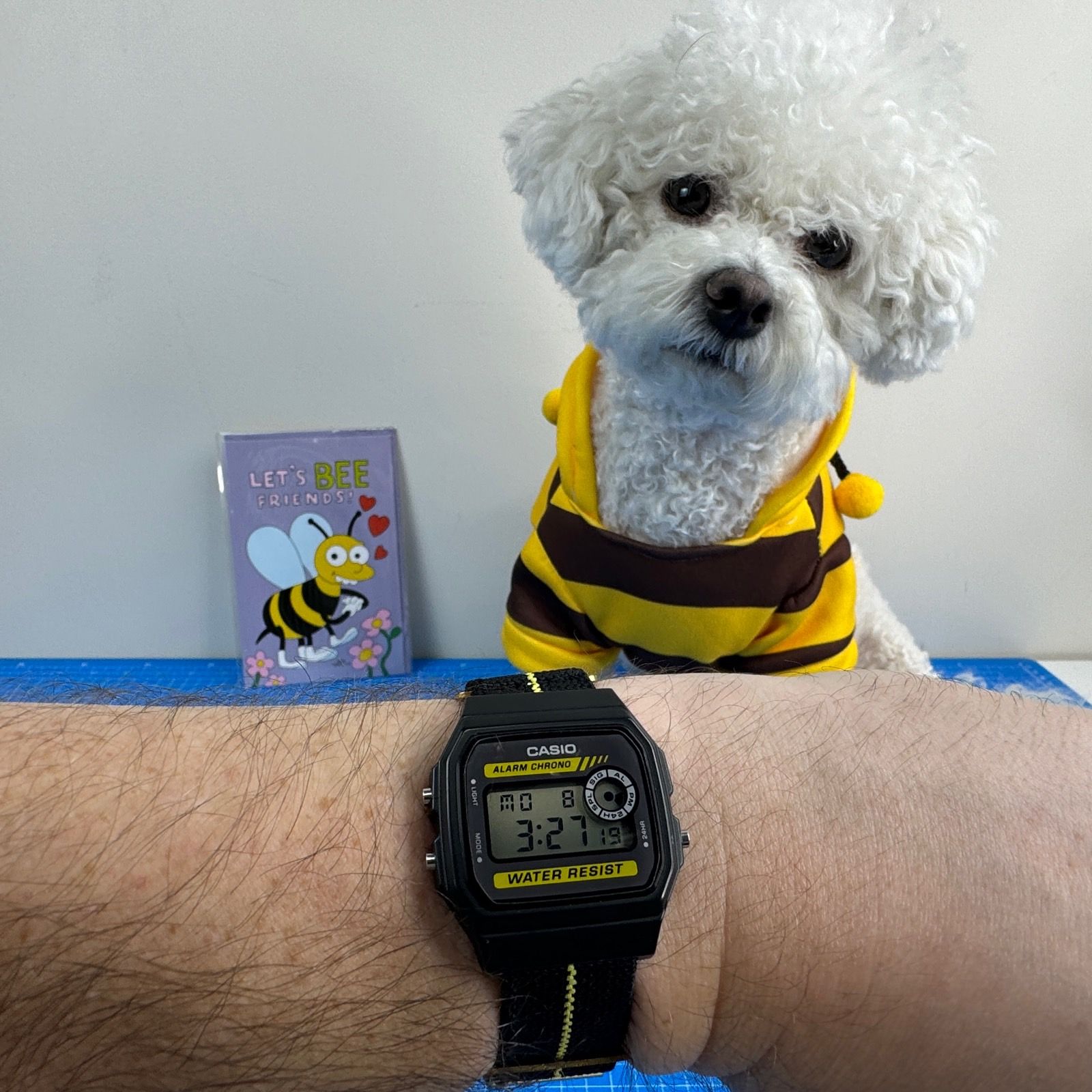 Casio Bumblebee (F-94W) V1 | WatchCrunch