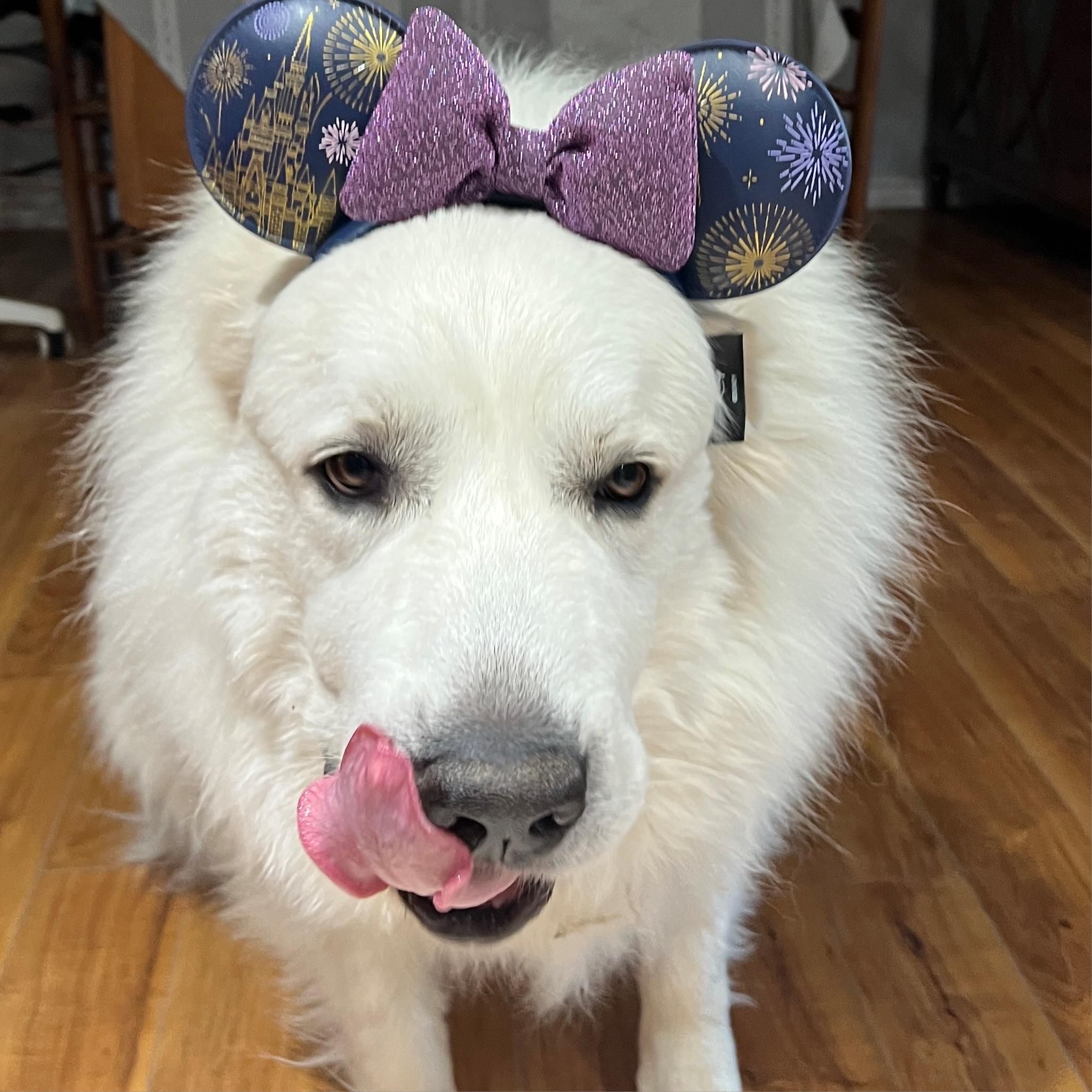 Sloanam1 | WatchCrunch