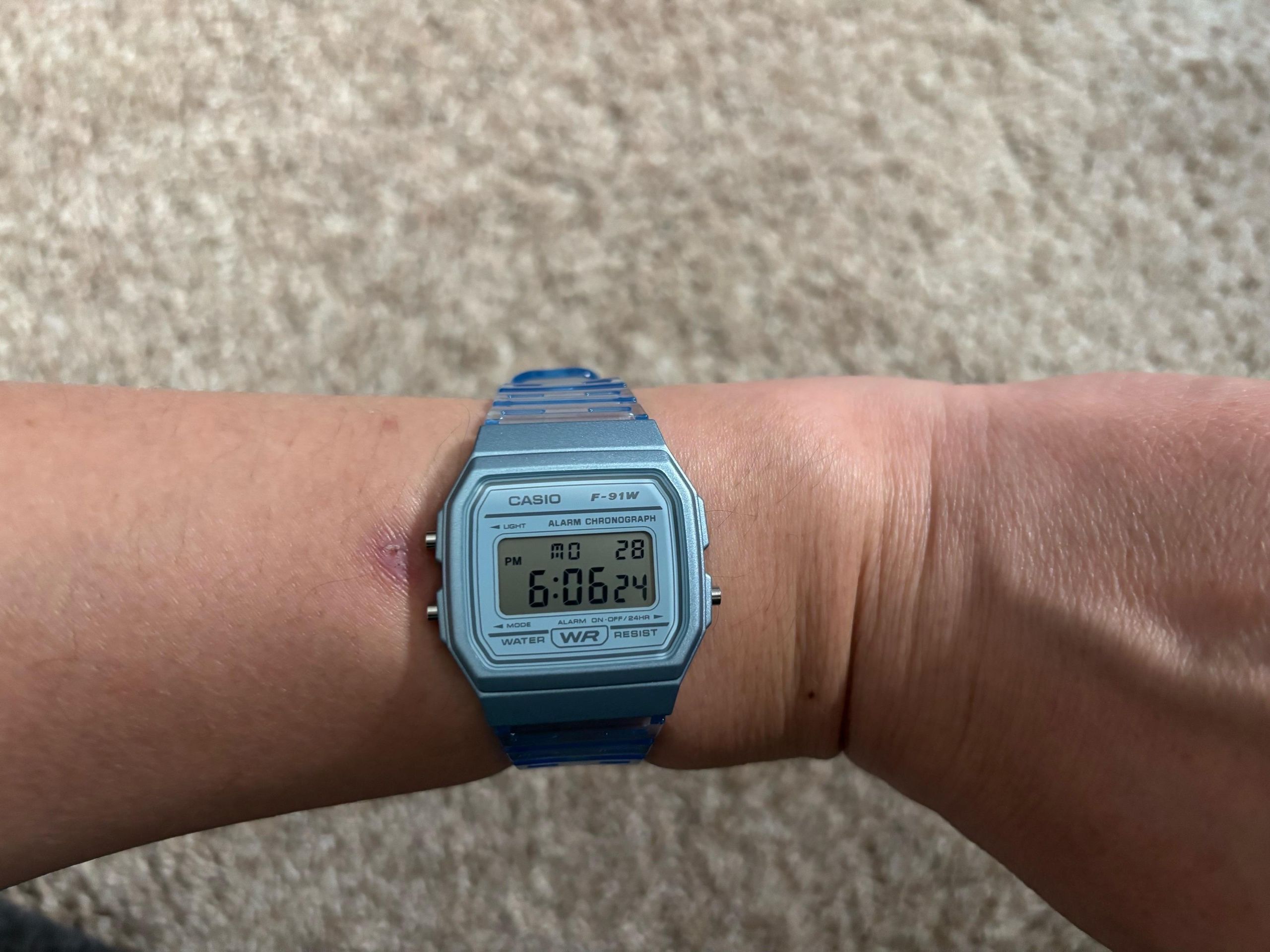 Casio F-91WS-2 | WatchCrunch