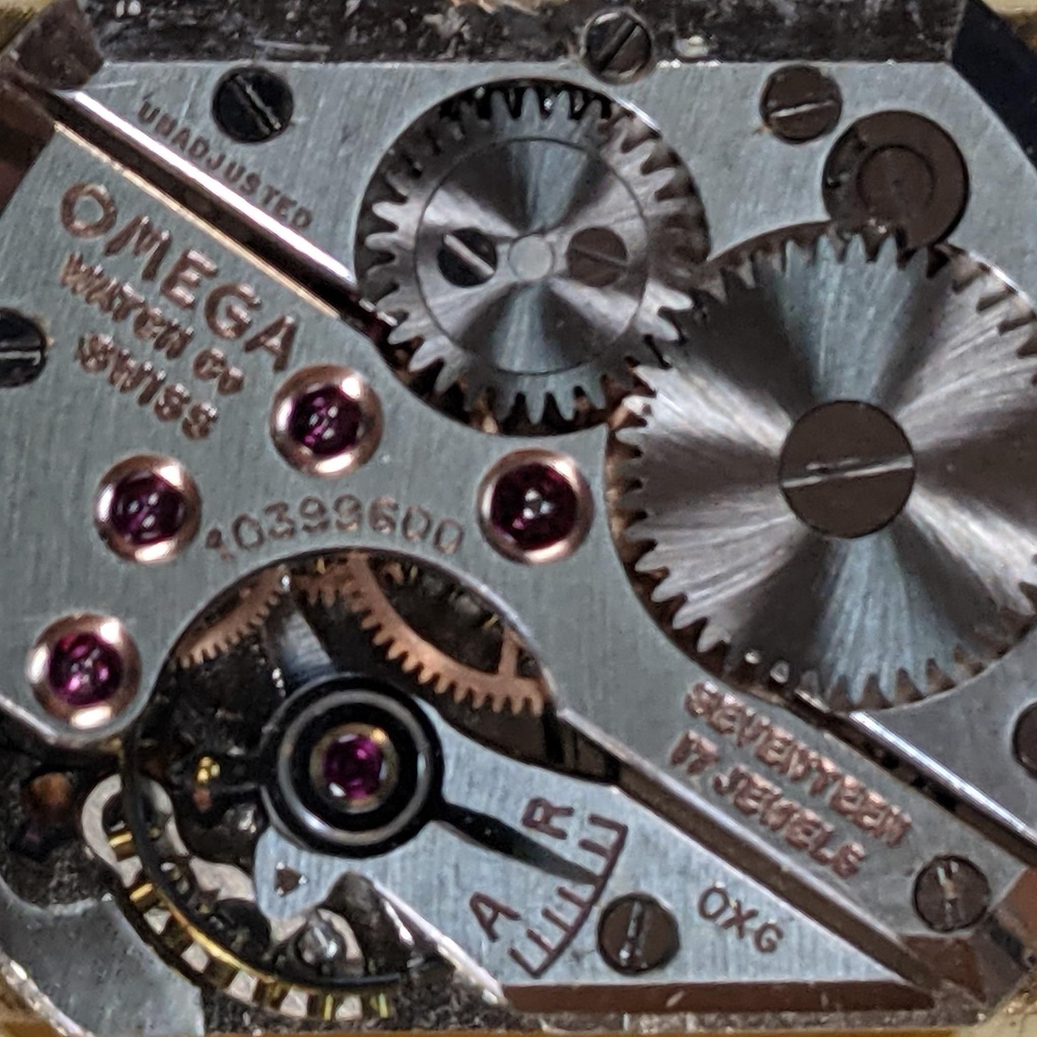 Robbyn | WatchCrunch