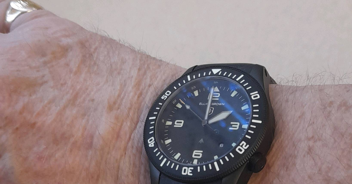 Elliot Brown Holton Review | WatchCrunch