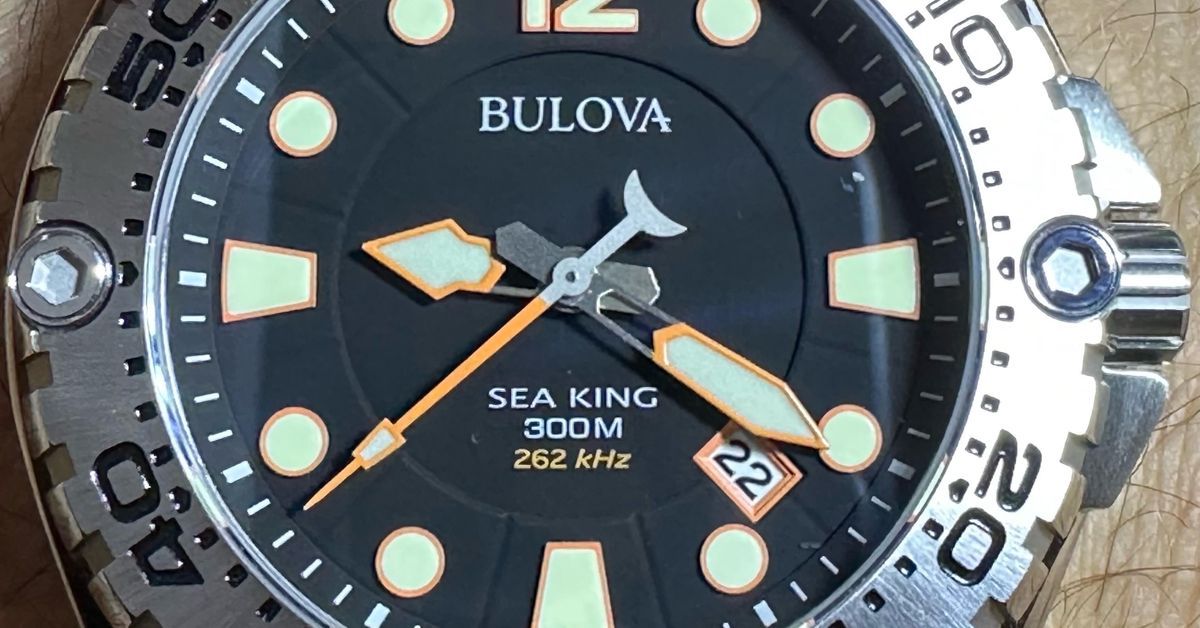 Bulova Sea King Professional Dive Analog Quartz - Black Dial (96B228) | WatchCrunch