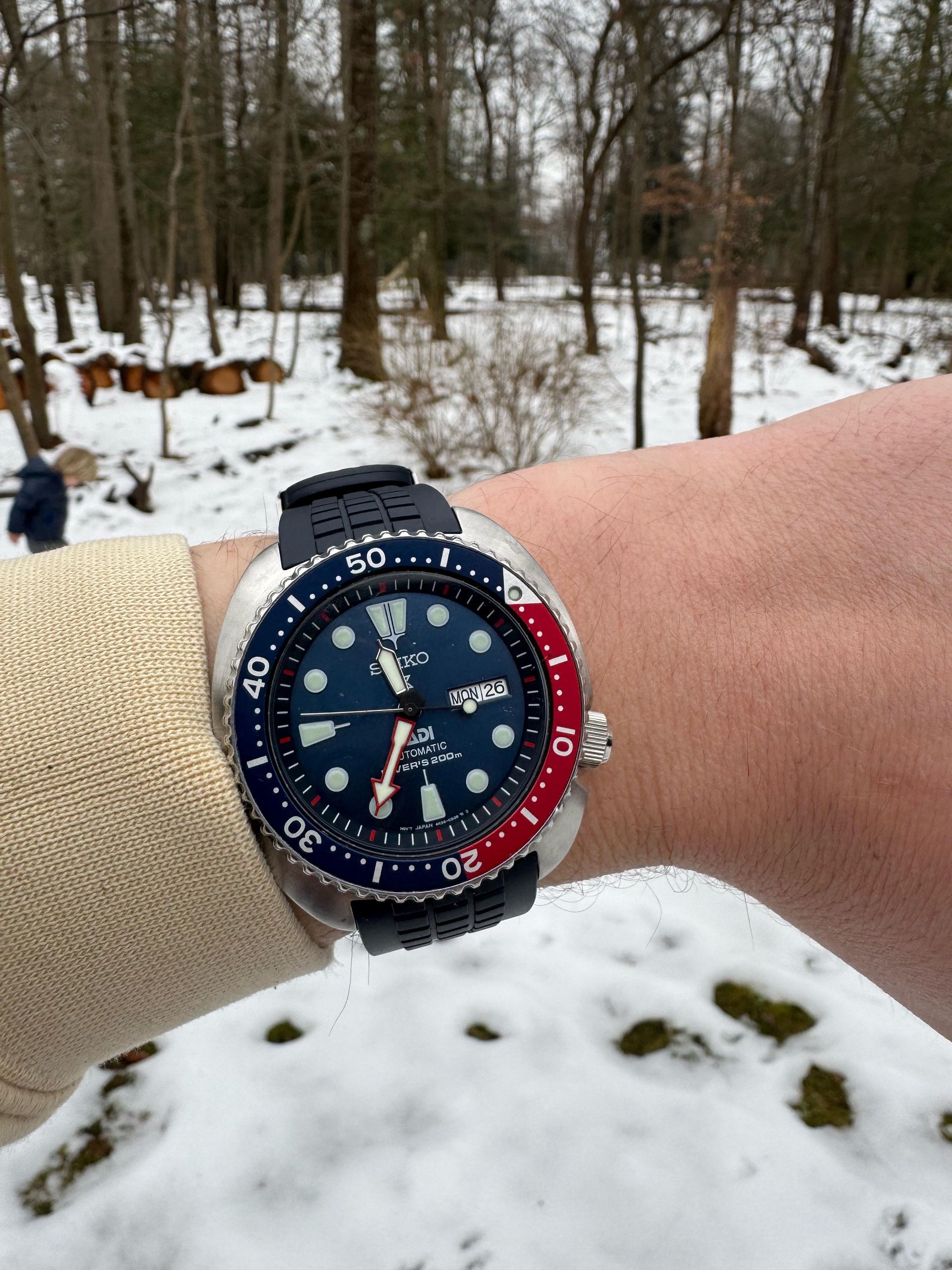 Seiko PADI Turtle | WatchCrunch