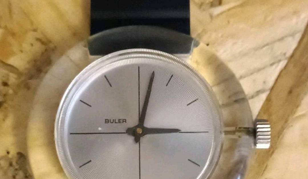 Buler Acrylic Case Watch | WatchCrunch