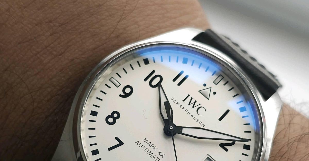EaseX calf leather on the IWC XX | WatchCrunch