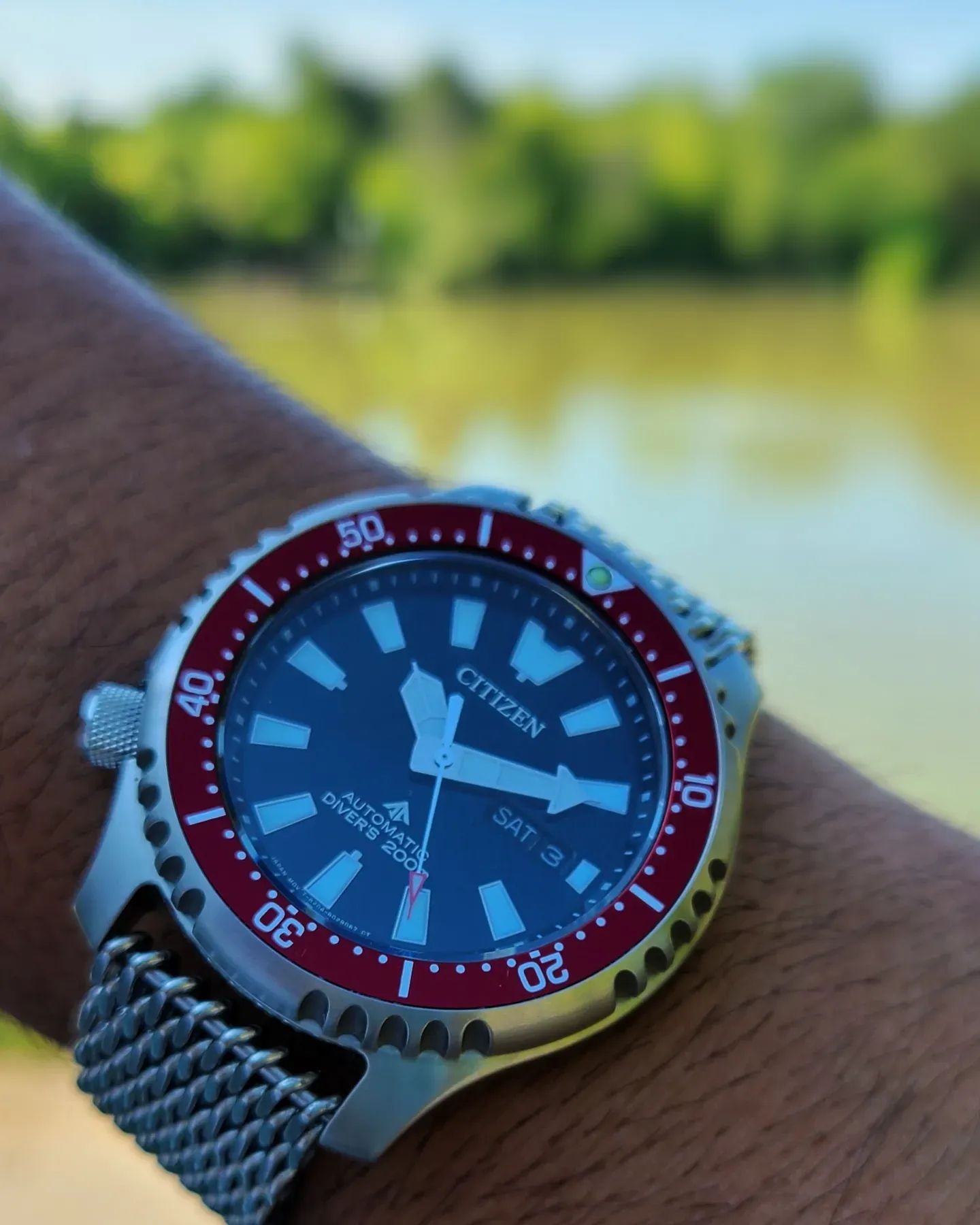 Citizen Promaster Automatic, a recommended watch? | WatchCrunch