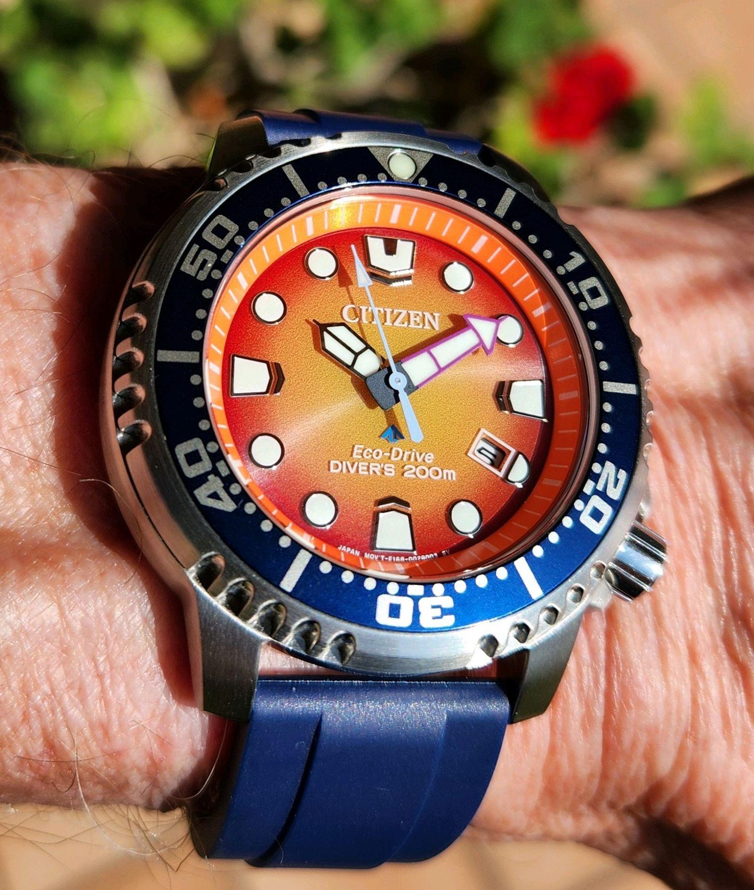 ChiefIlliniwek | WatchCrunch