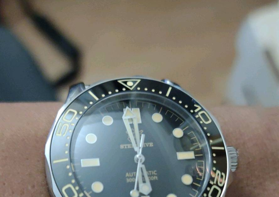 Steeldive Seamaster | WatchCrunch