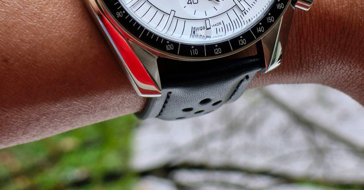 Moonswatch Metal Case | WatchCrunch