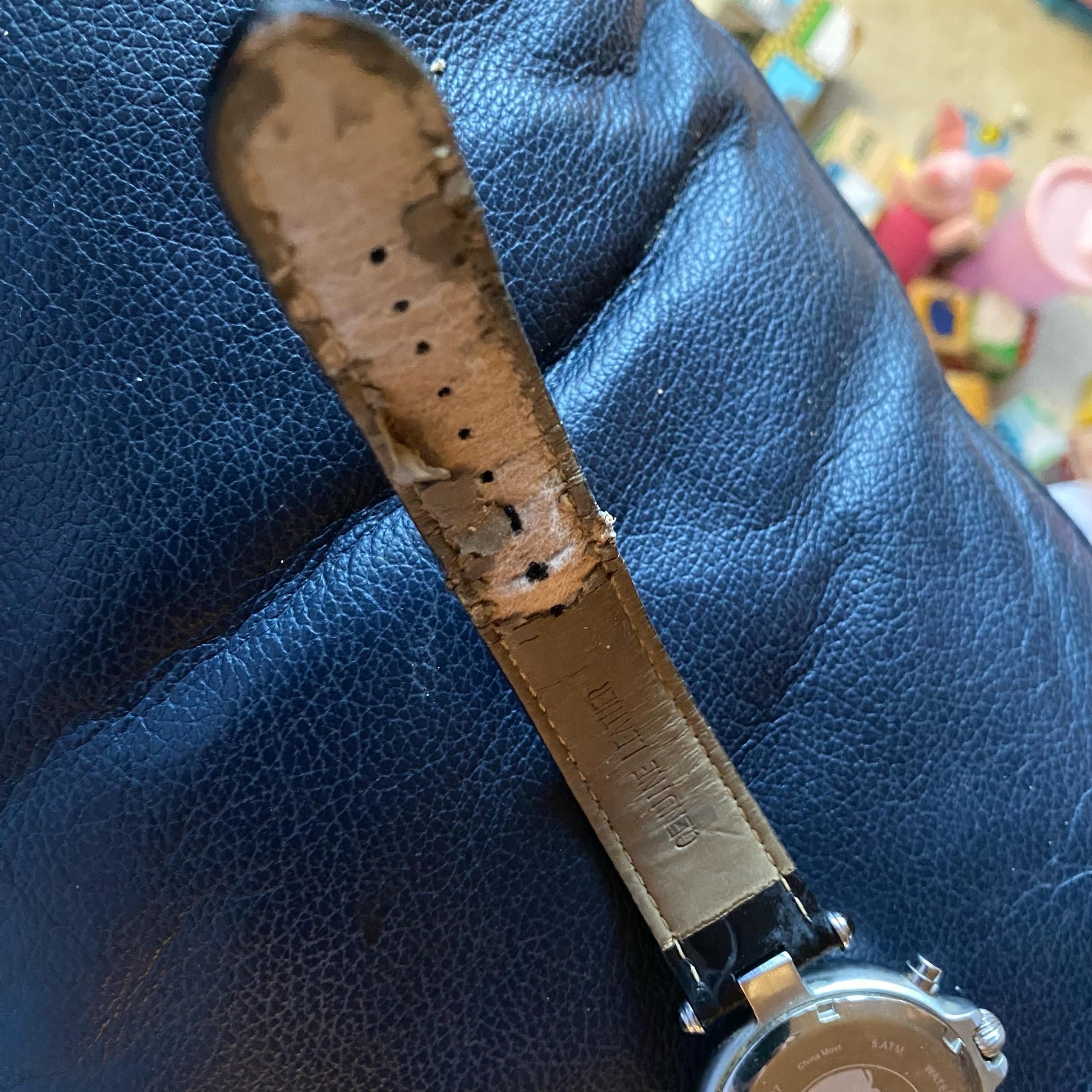 Help me replace watch strap | WatchCrunch