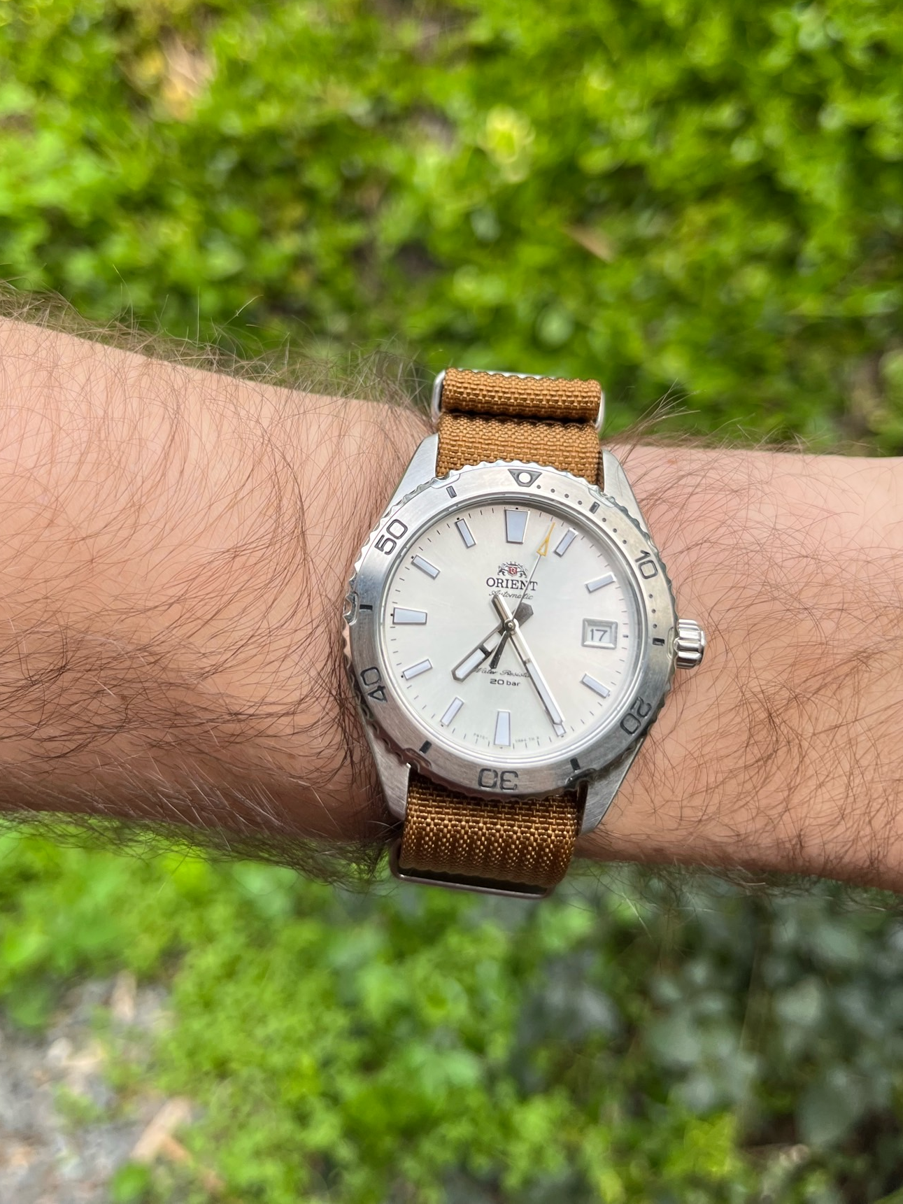 Orient mako sport | WatchCrunch