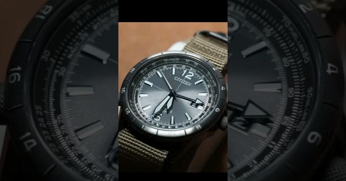 Citizen Automatic Promaster | The Good, the Gooder, and the Goodest ...