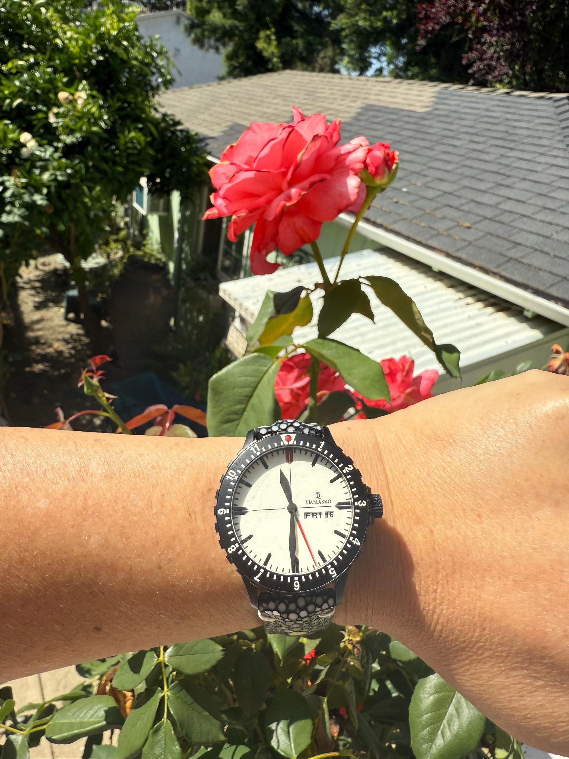 Damasko Strap Experimentation | WatchCrunch