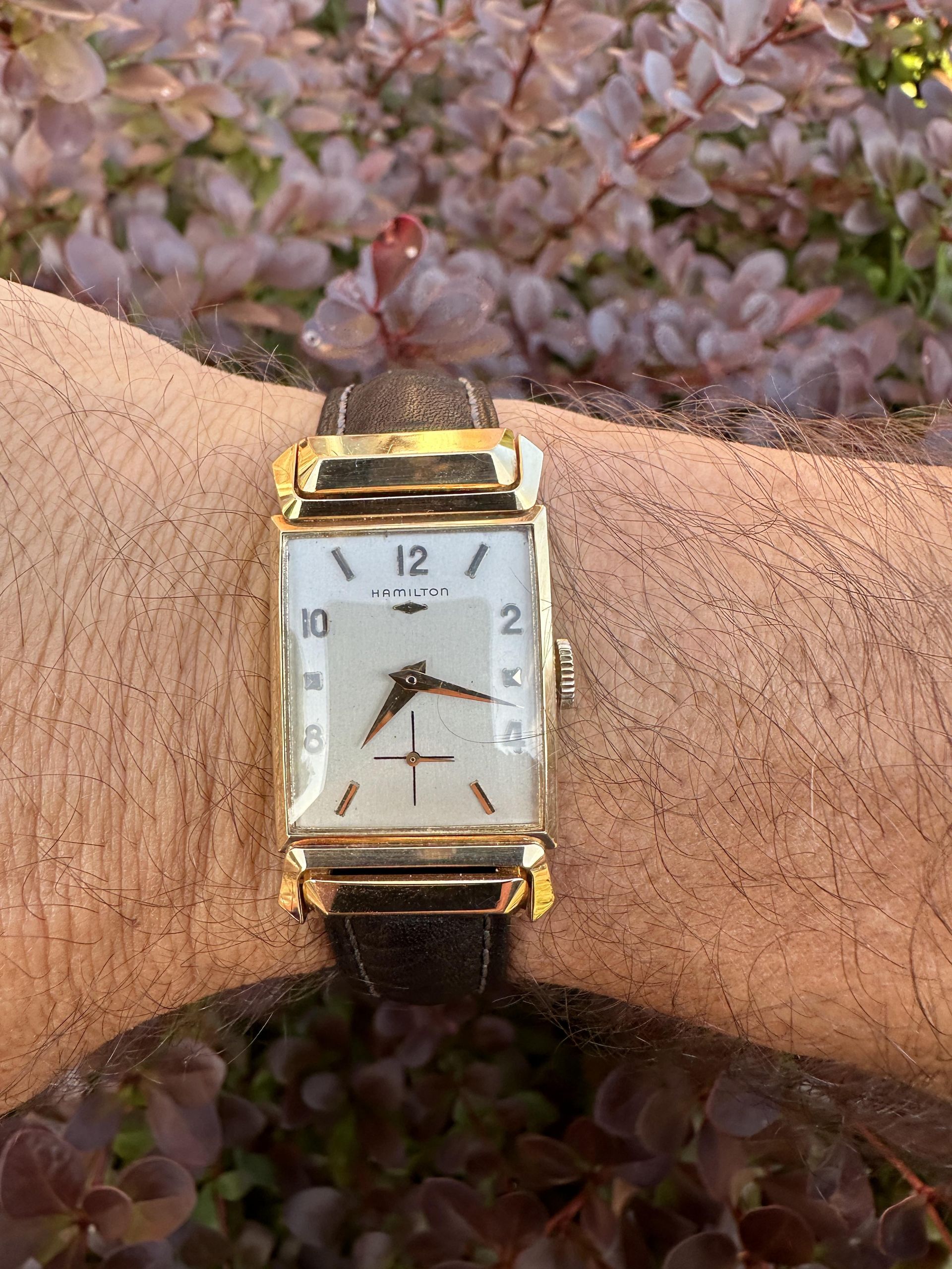 A birthday gift from the wife - Hamilton Kevin | WatchCrunch
