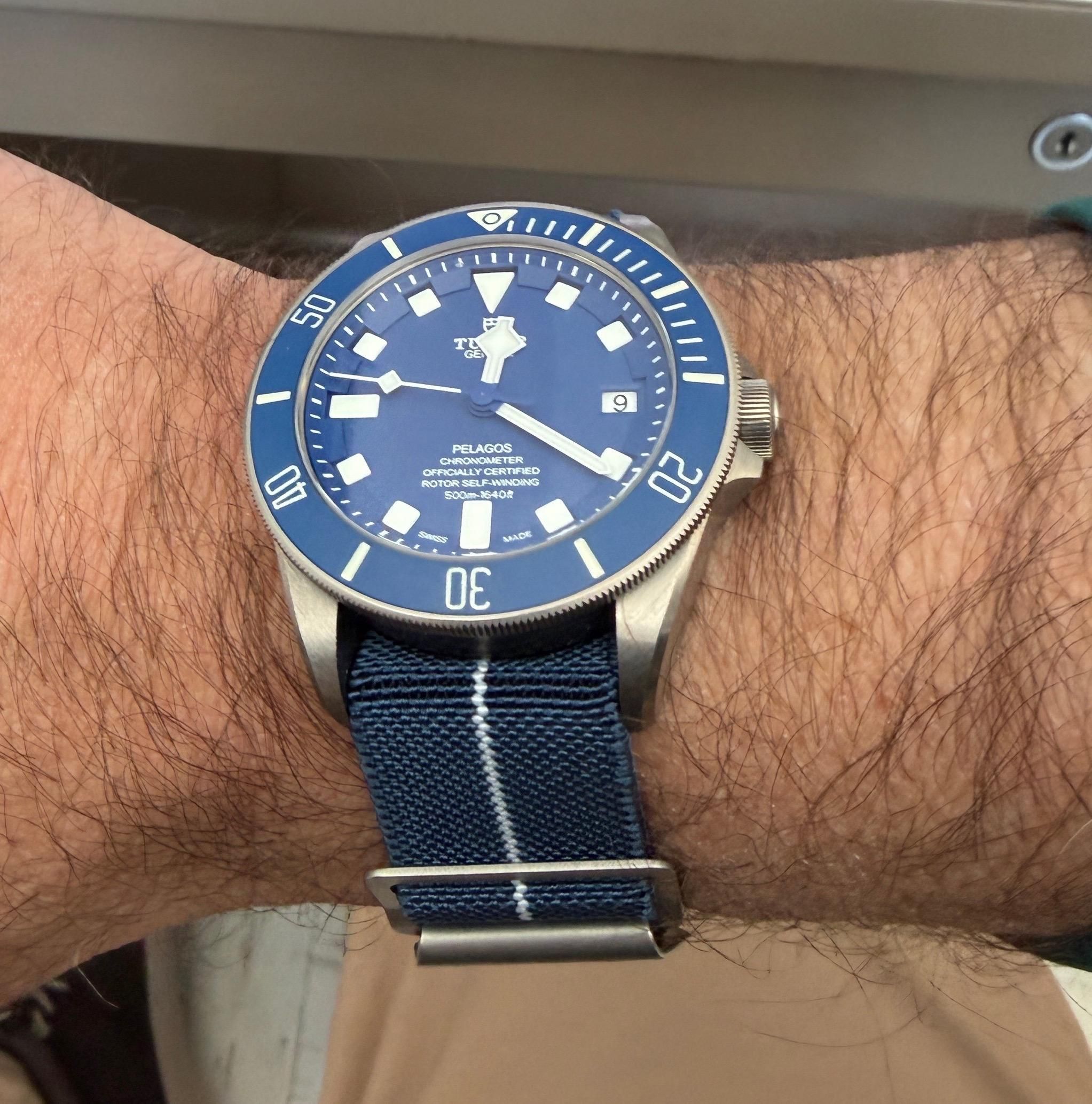 NATO or Bracelet? | WatchCrunch