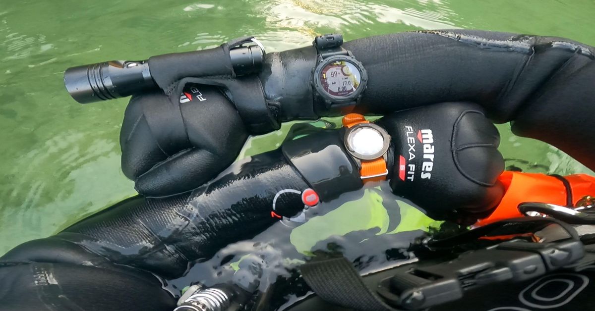 Diving | PNW | WatchCrunch