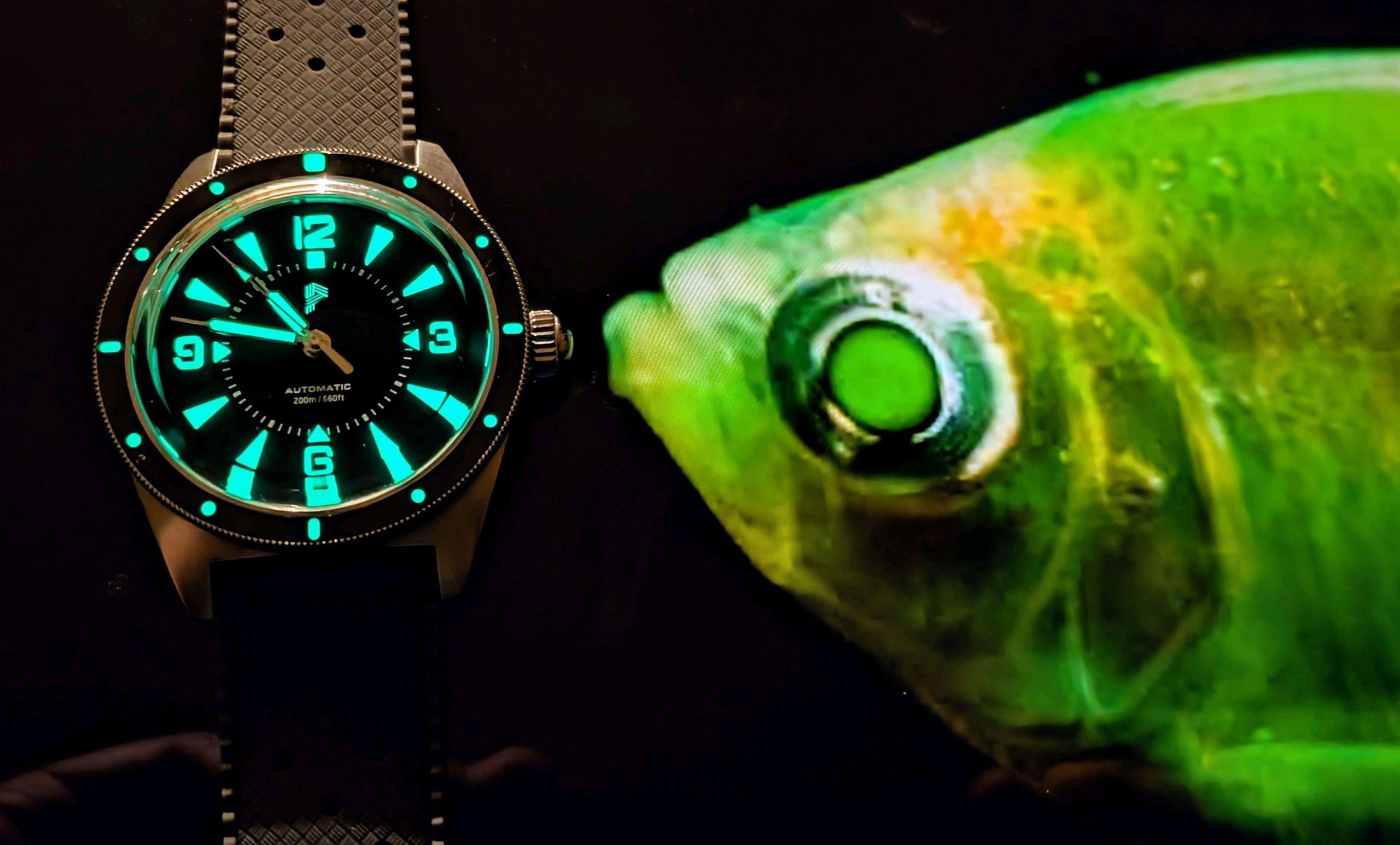 Something fishy? | WatchCrunch