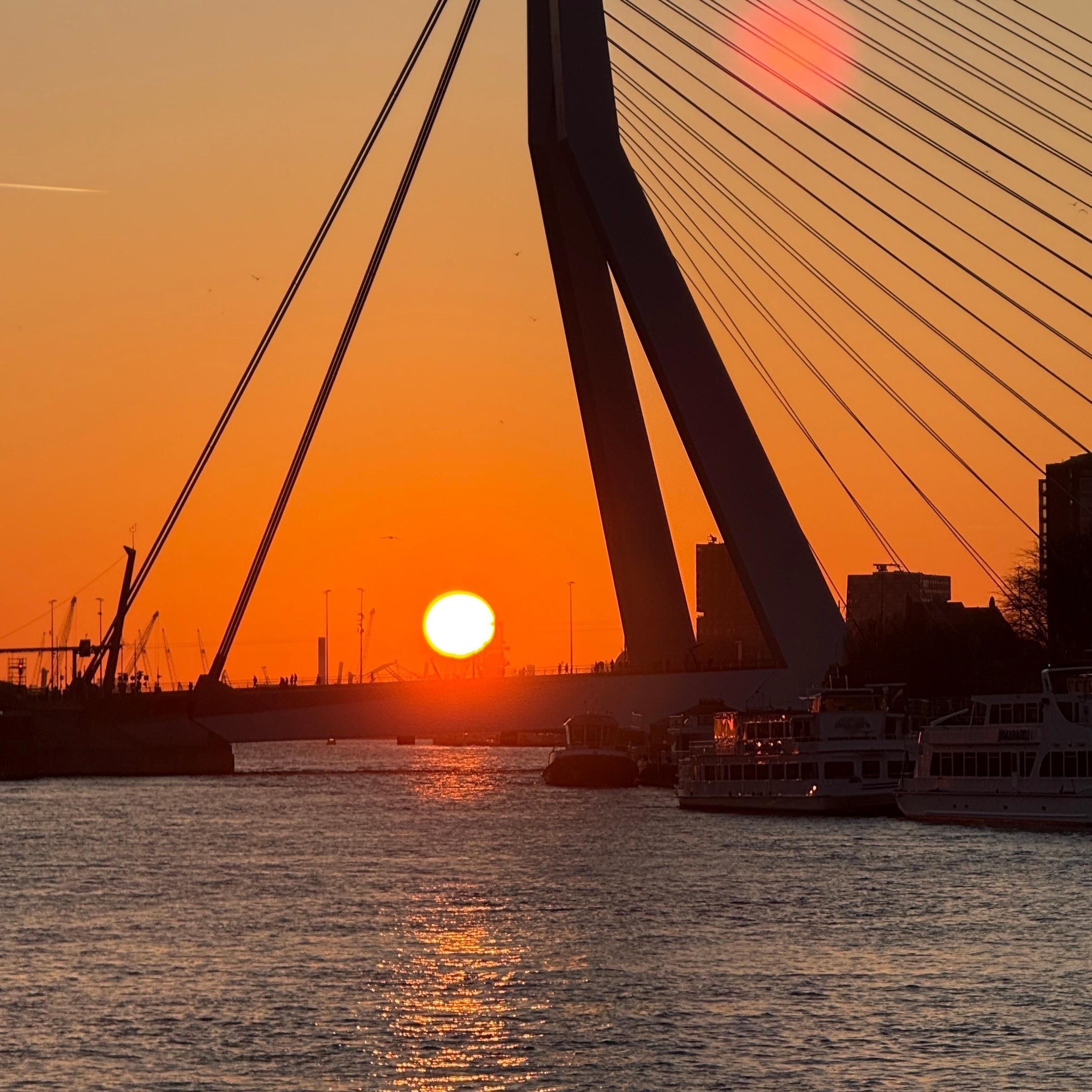 Rotterdam | WatchCrunch