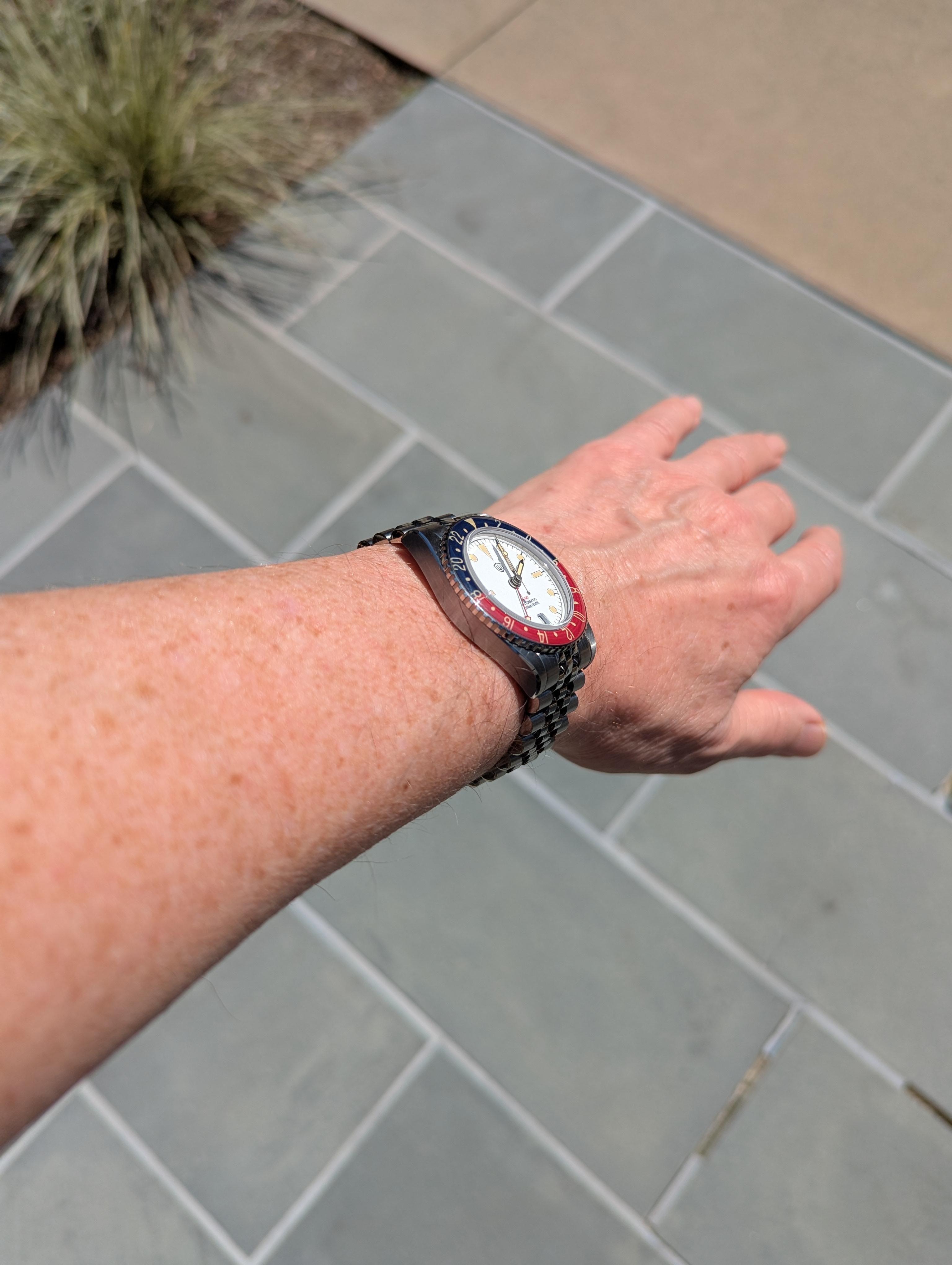 Watchdives WD6542 Review | WatchCrunch