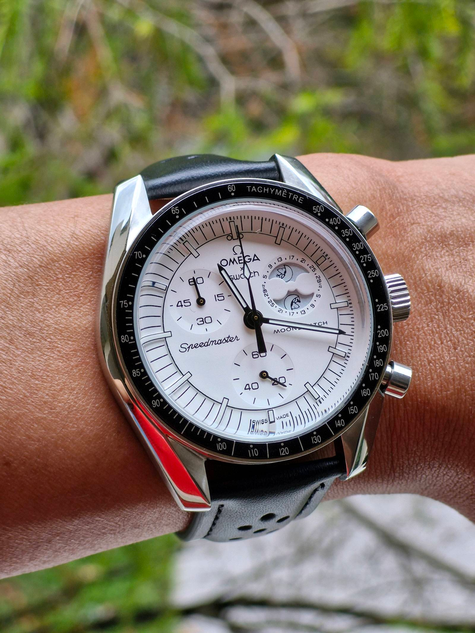 Moonswatch Metal Case | WatchCrunch