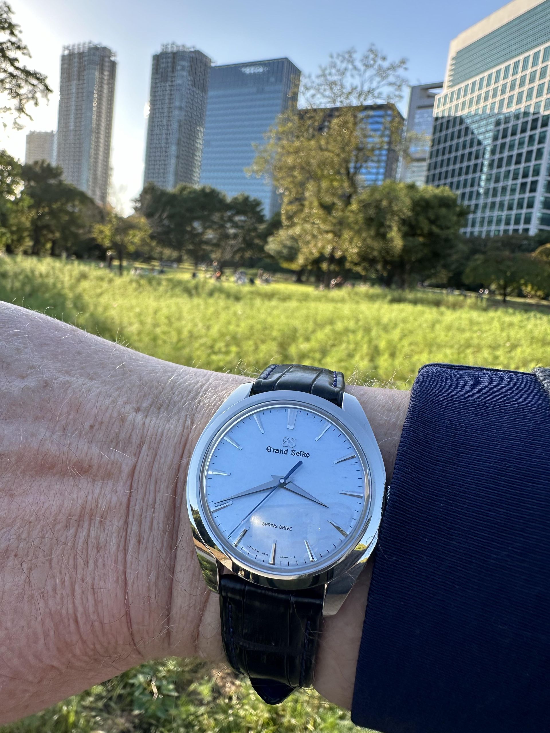 NWA-Grand Seiko Omiwatari | WatchCrunch