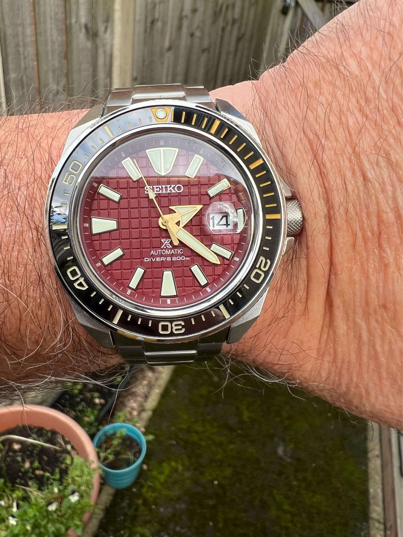Seiko Still Stunning | WatchCrunch