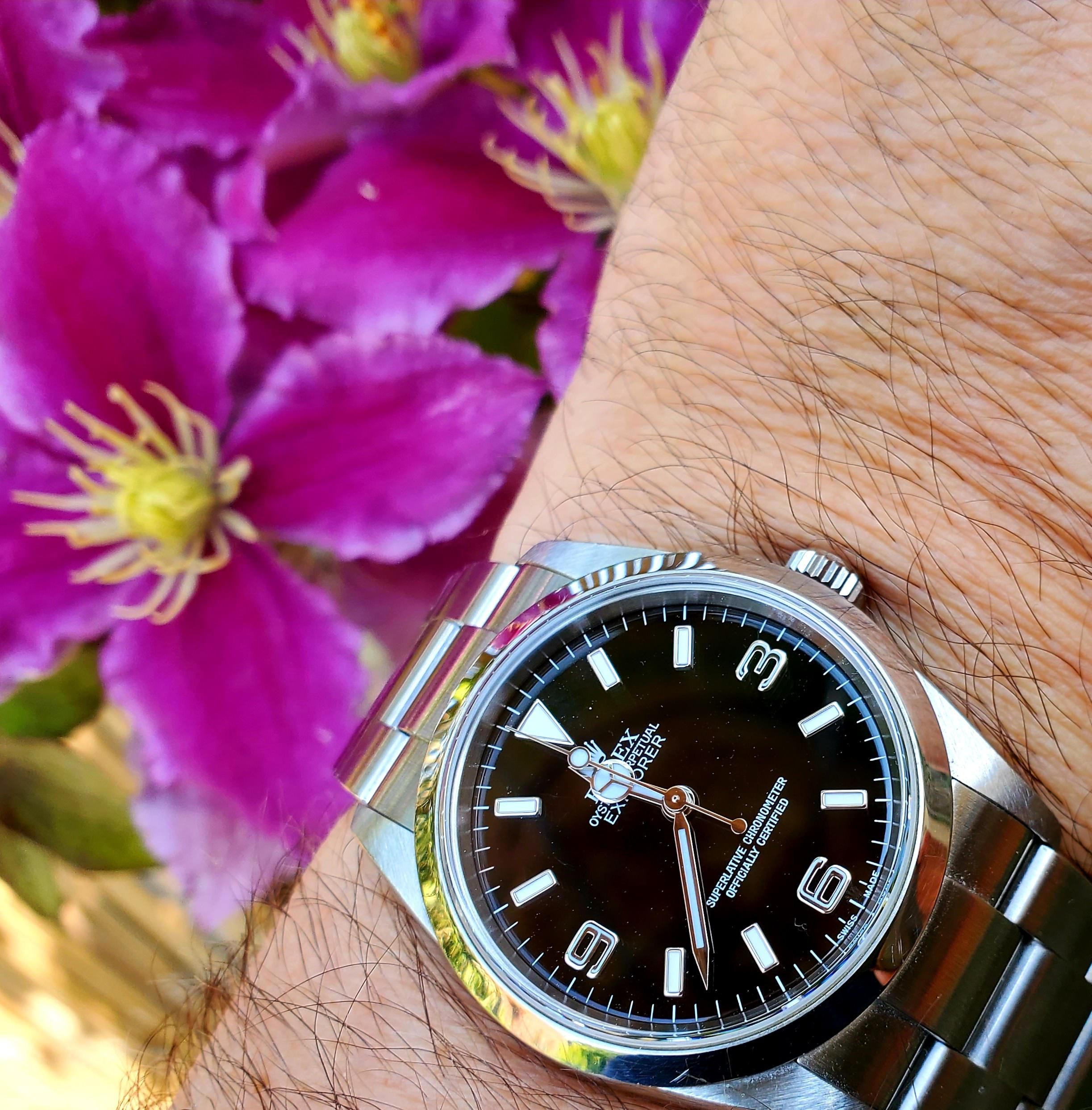 My Rolex Explorer Alternative - Grand Seiko SBGT037 - 37mm QUARTZ ...