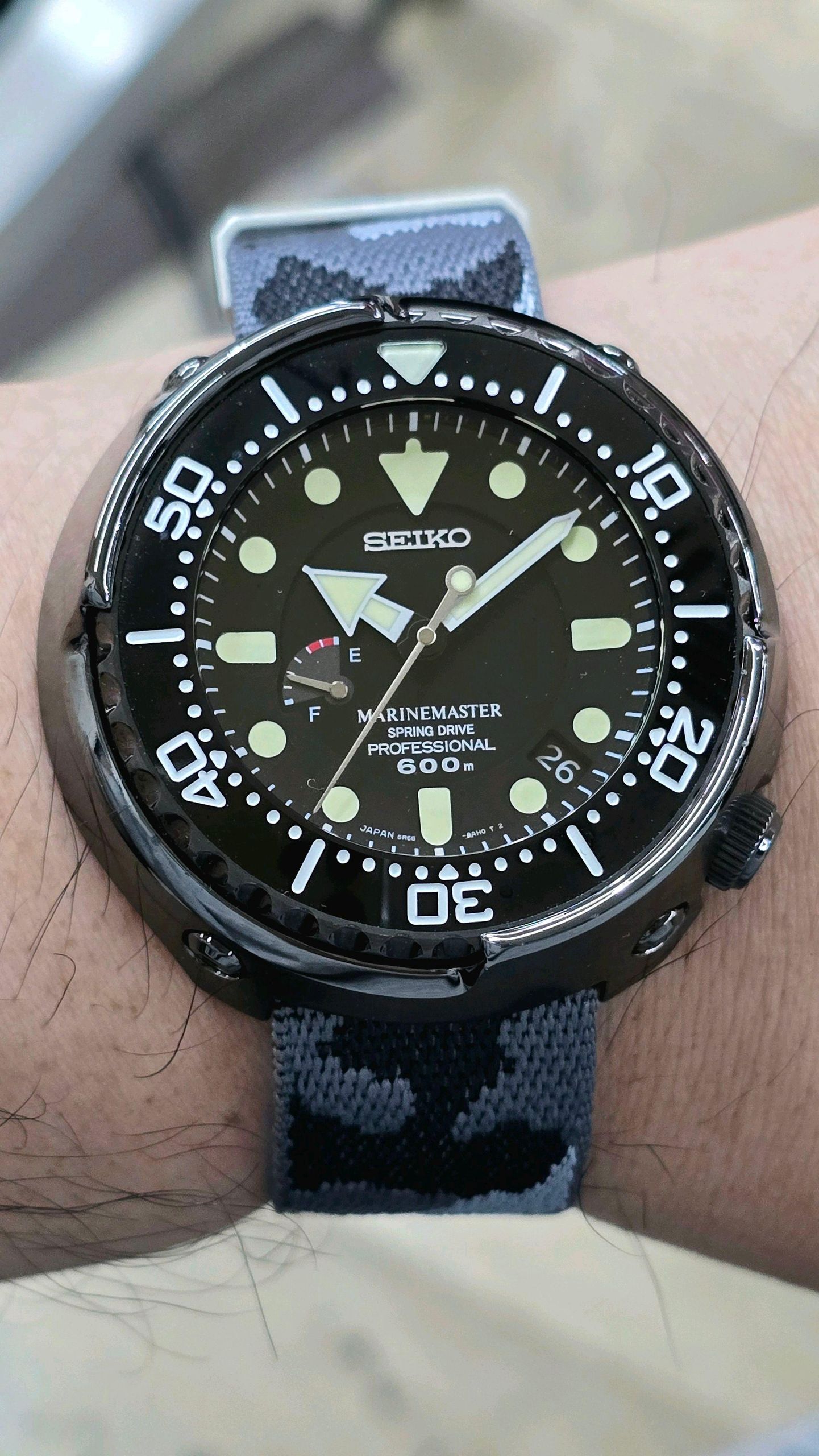 Seiko MarineMaster 600M Spring Drive | WatchCrunch
